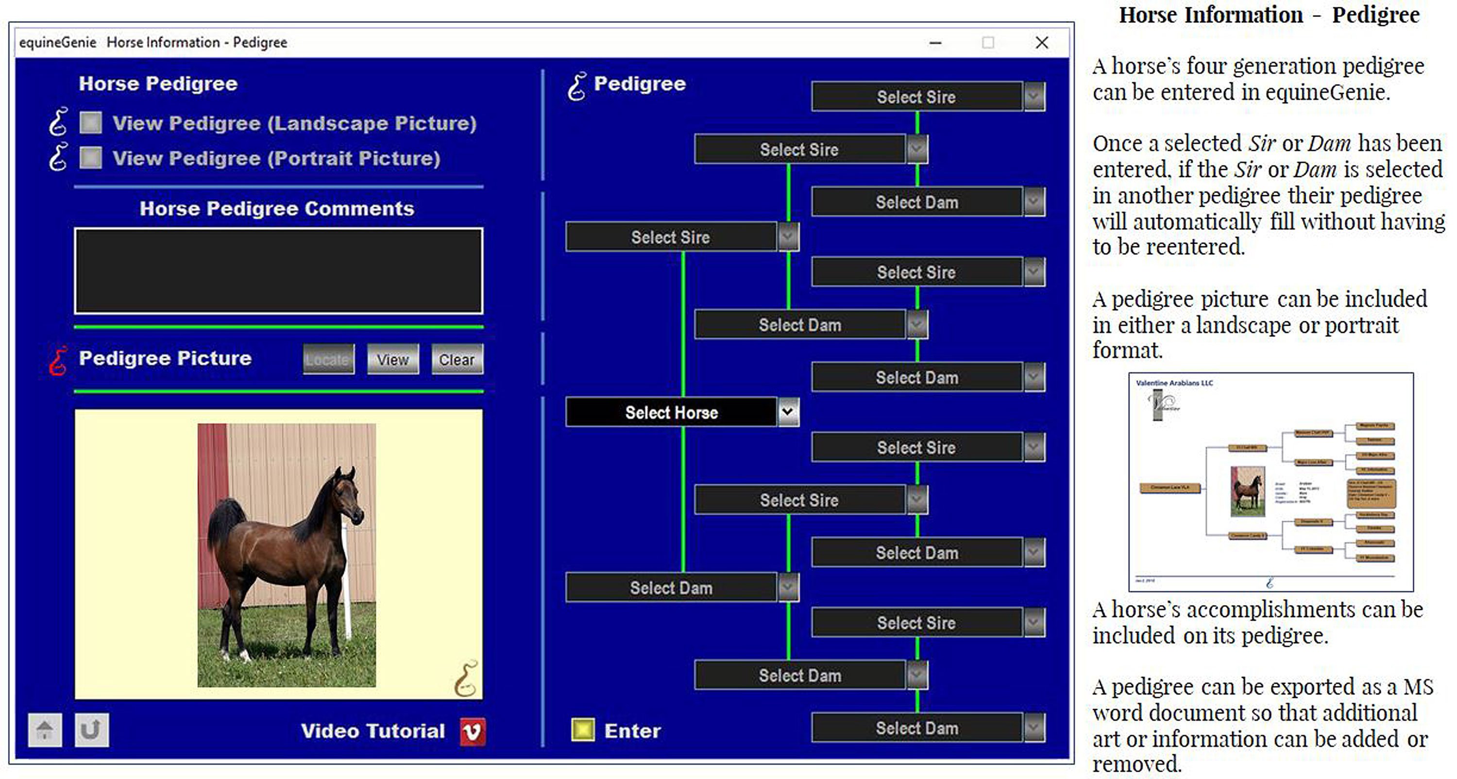 Horse Care Management | Equine Genie - Horse Business Management Software