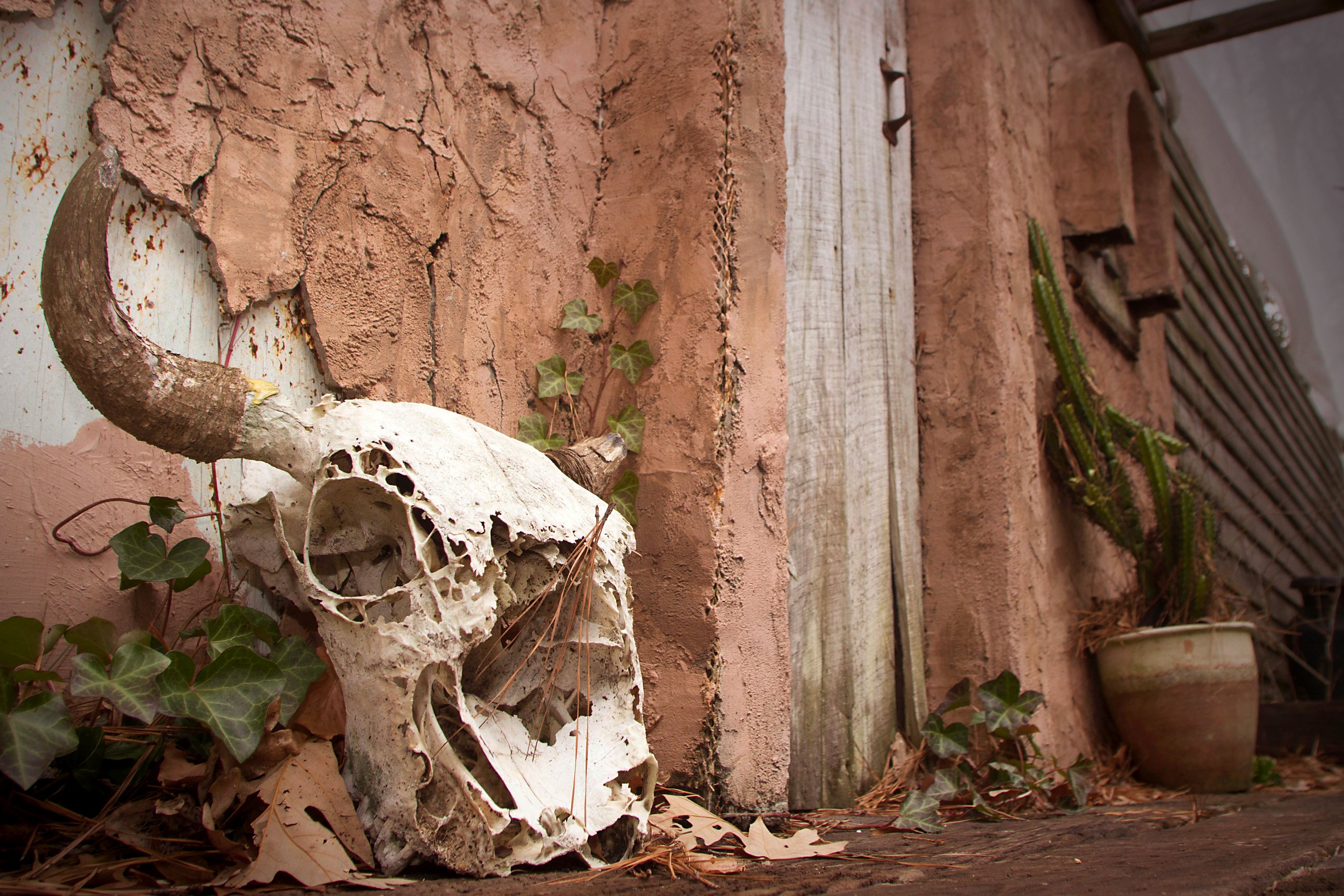 Studio Tour | Butler Portraits | Richmond, VA