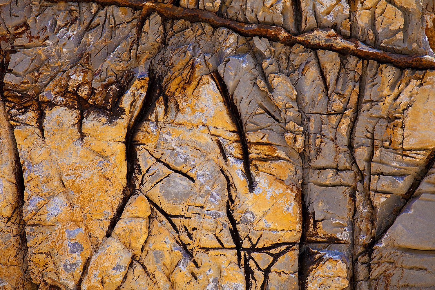 Patterns of Nature - Jim Zuckerman photography & photo tours