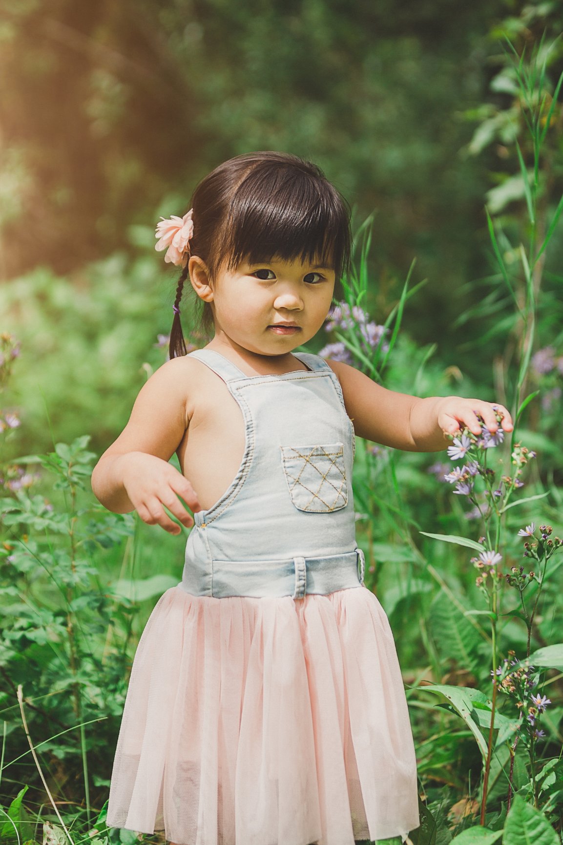The Ho Family Hocus Focus Photography