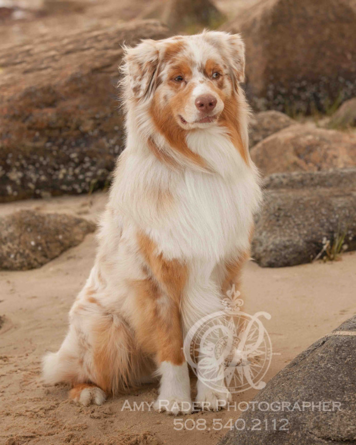 Blog - Amy Rader Photographer