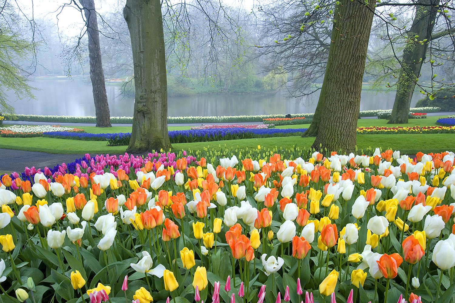 Keukenhof Gardens - Jim Zuckerman photography & photo tours