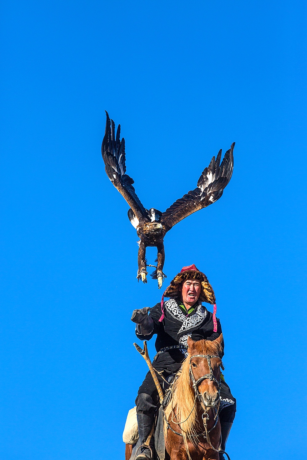 Anticipating action - Jim Zuckerman photography & photo tours