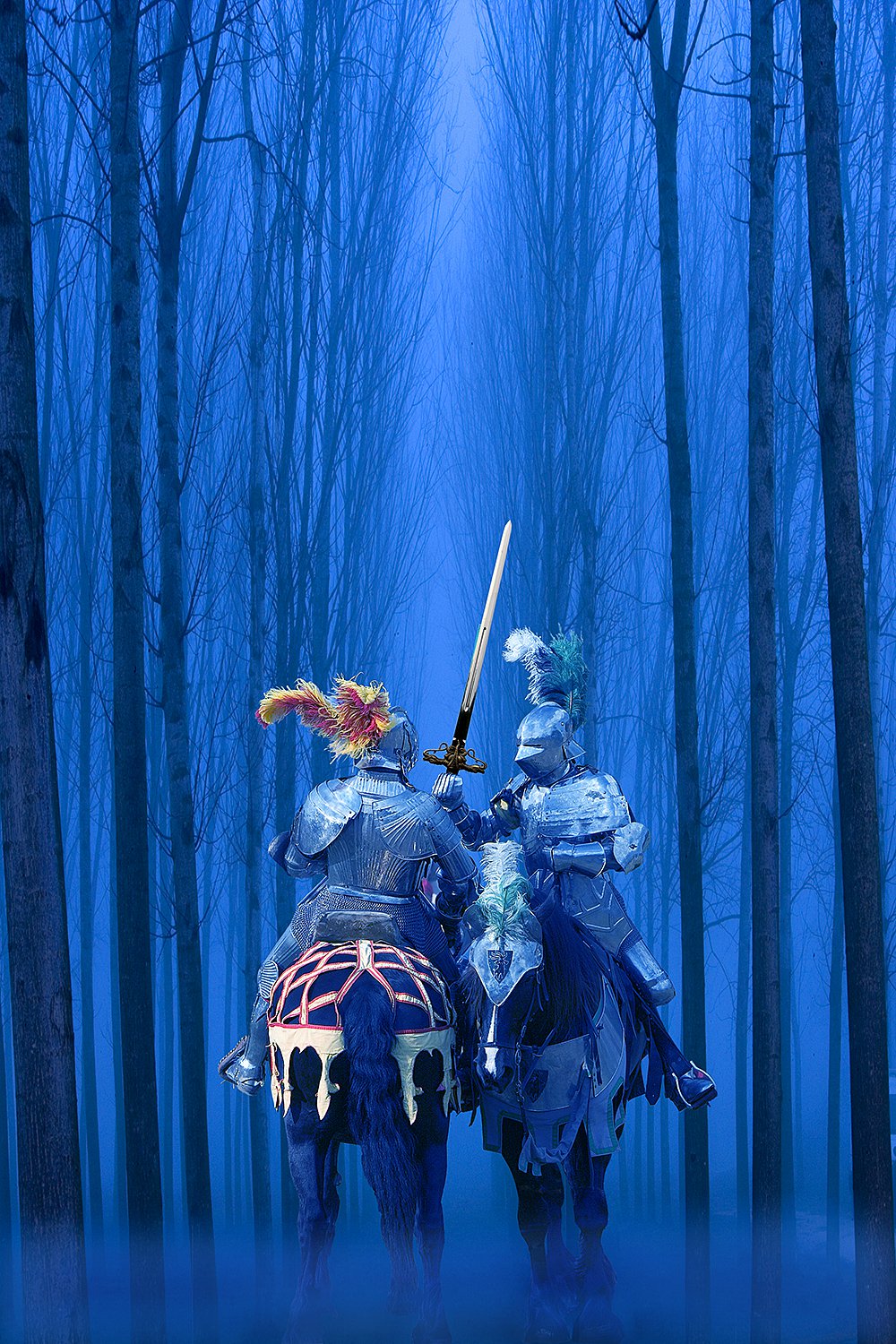 Medieval knights in a foggy forest - Jim Zuckerman photography & photo ...