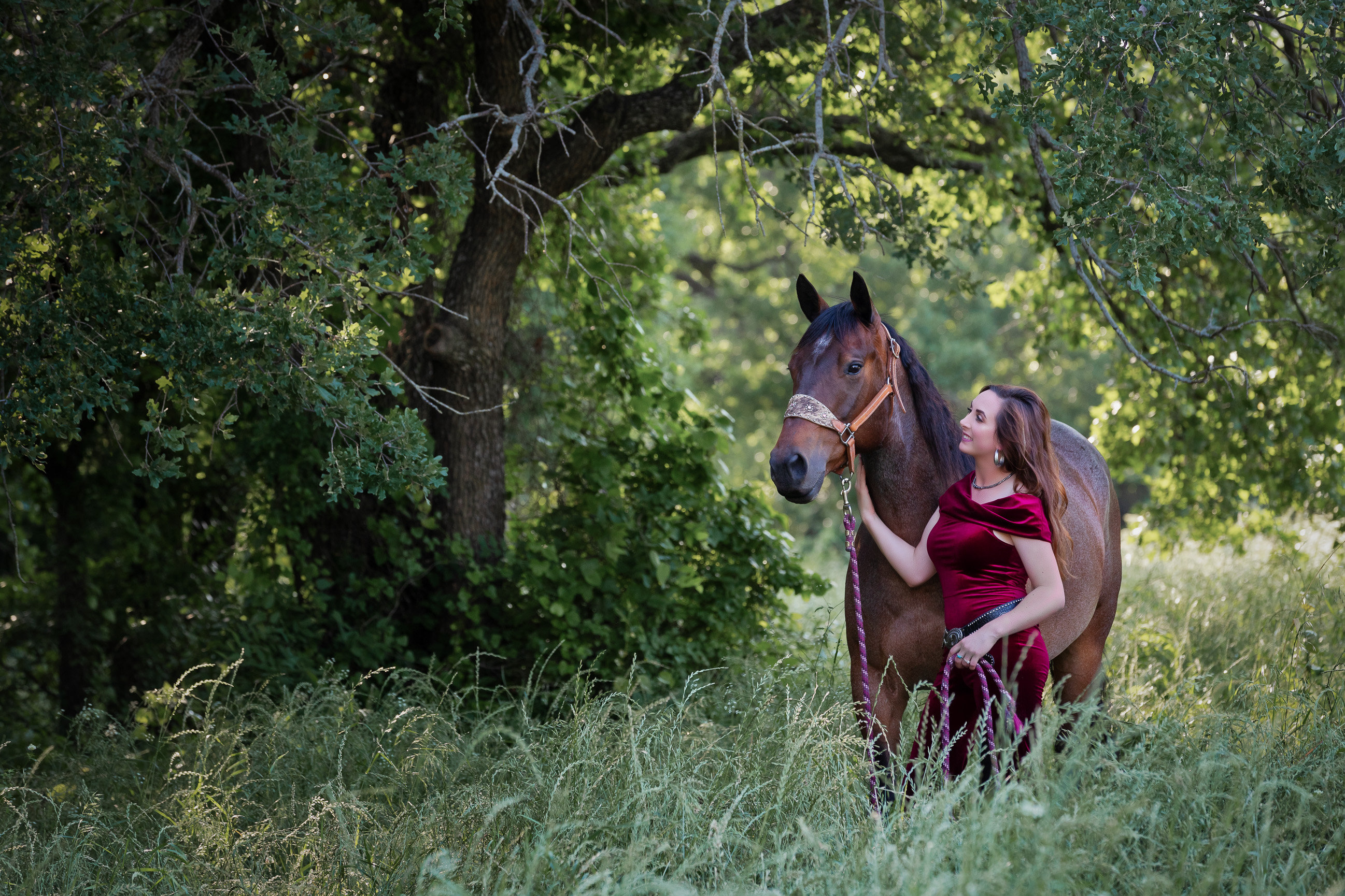 Dallas TX Equine & Equestrian Gallery | Penny Whistle Photography