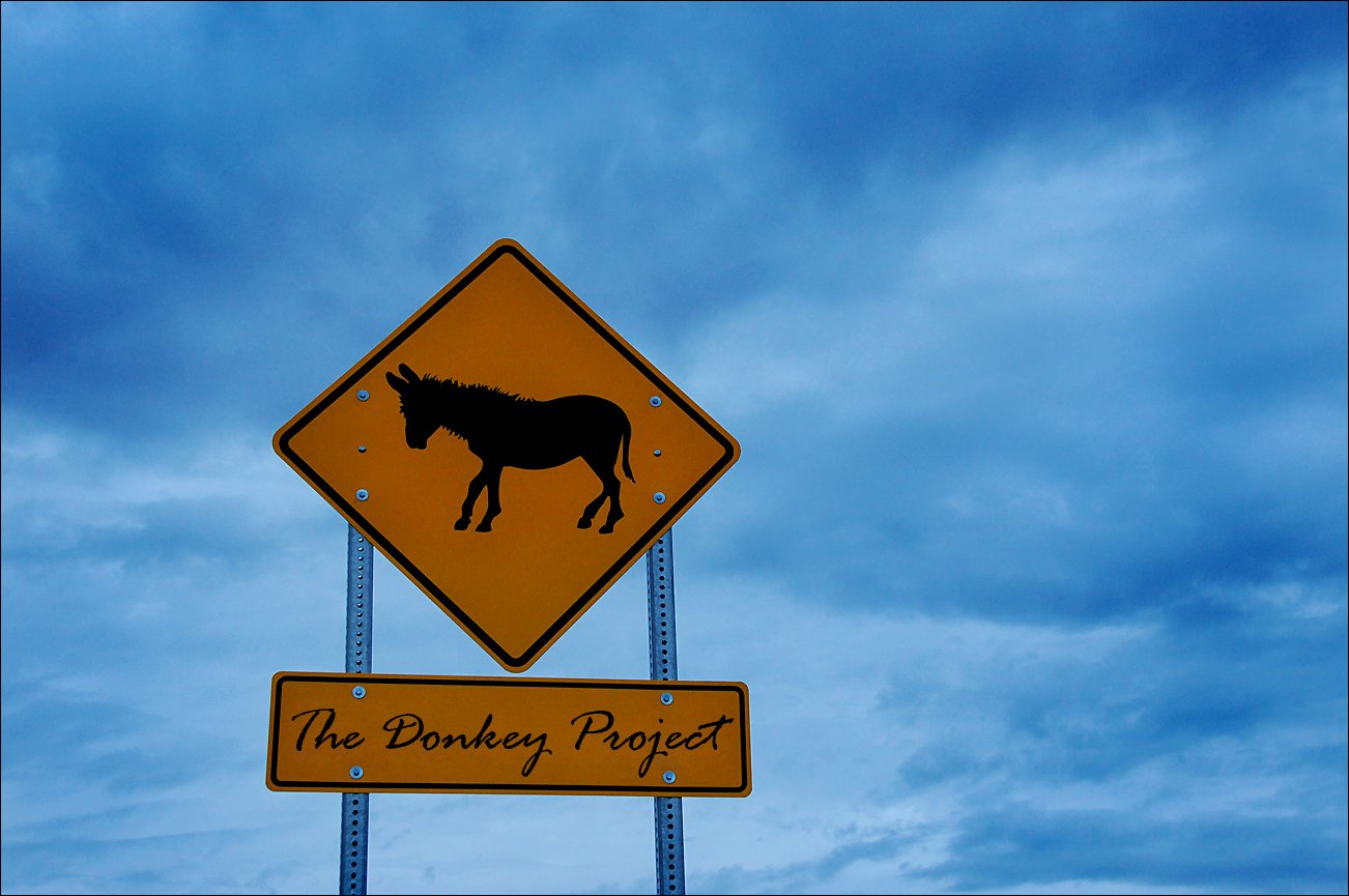 The Donkey Project - Natures Album