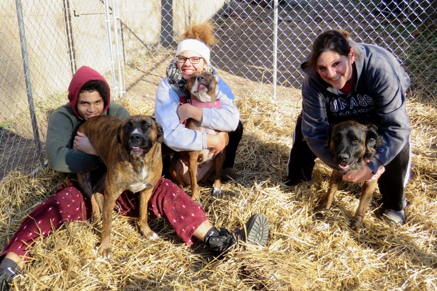 Our Kennel Kru Dogs - Break the Chain Kennel Kru
