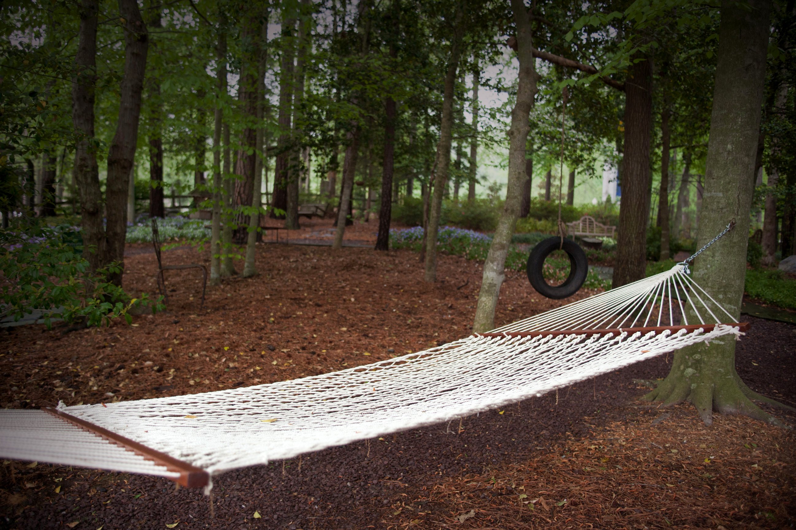 Richmond VA Studio Tour | Butler Portraits