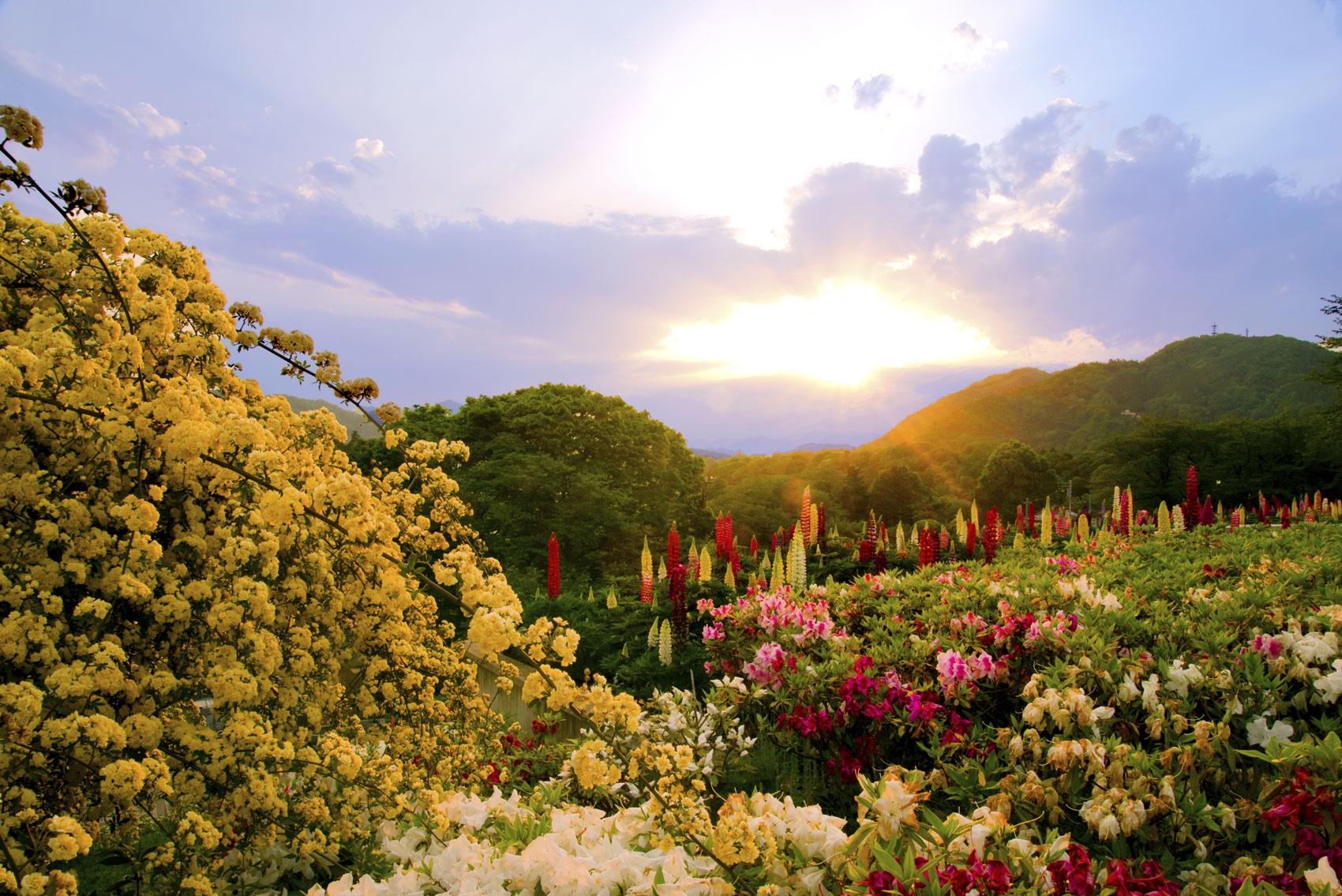 A Magical Spring Landscape - Blain Harasymiw Photography