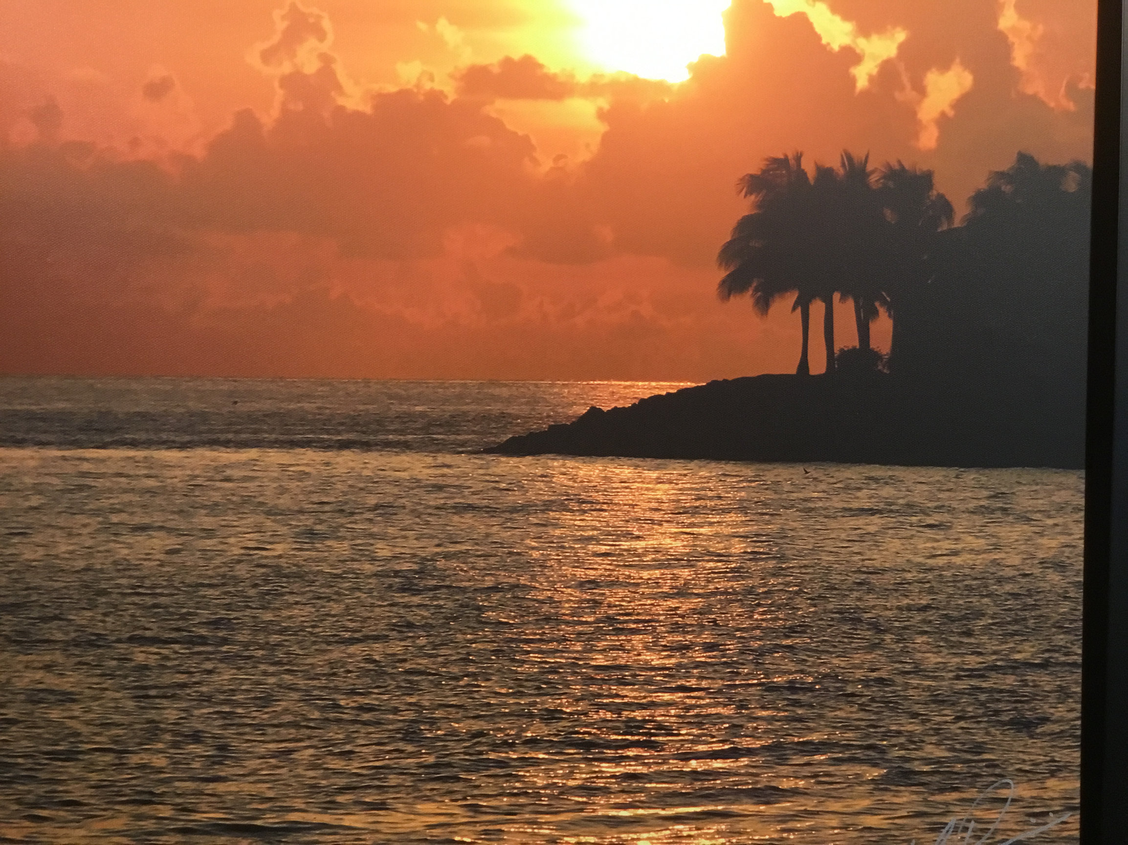 Buy Michael Procaccini Art | Art On Duval Key West