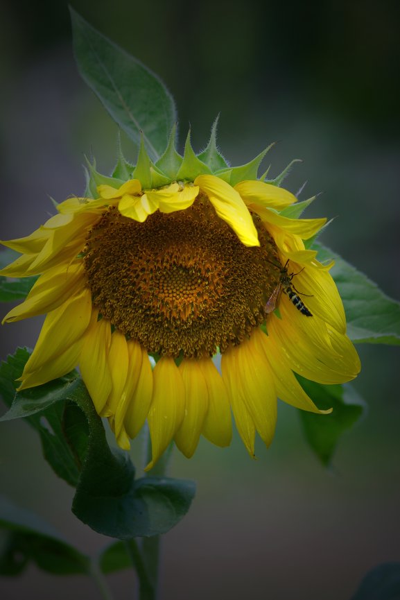 Home - michael a eaddy photography