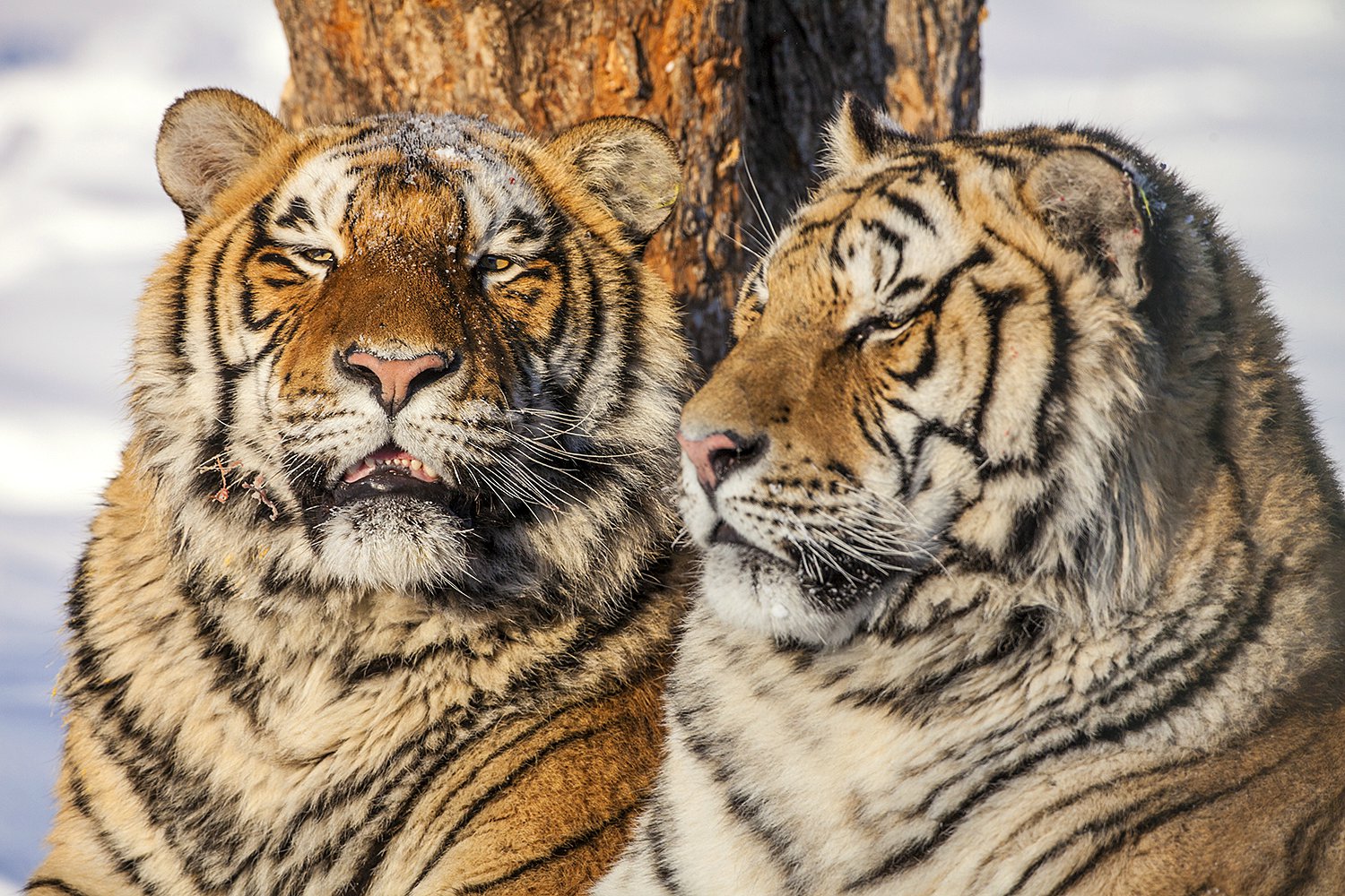 China - Jim Zuckerman photography & photo tours