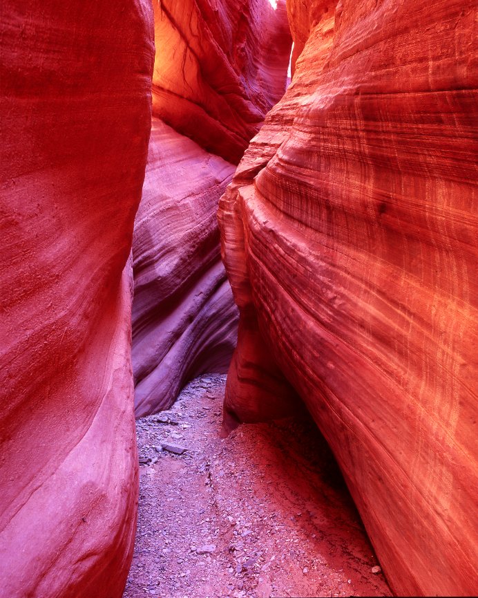 Bio of James M. Ferguson, Jim