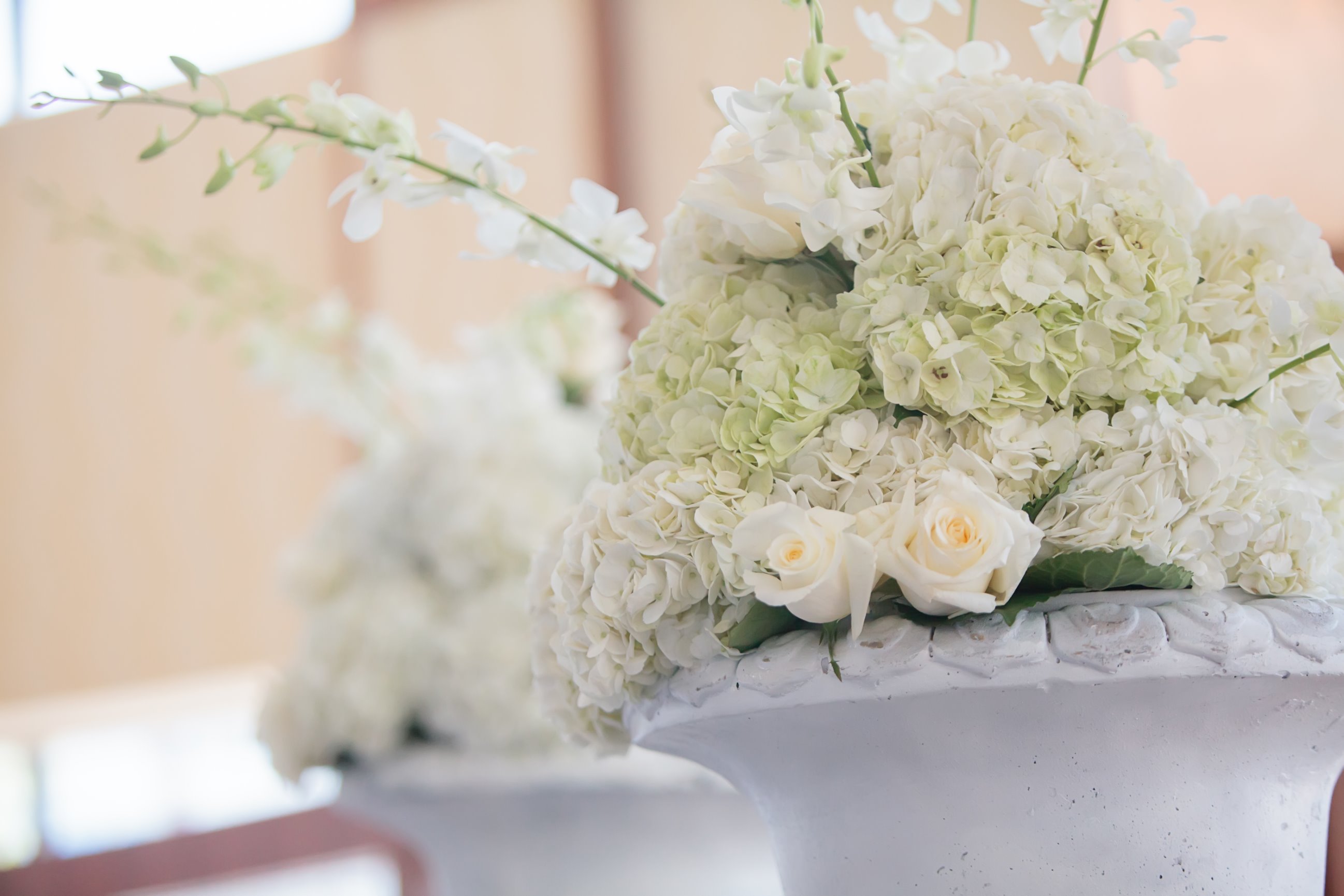 HOME - Graceful Designs