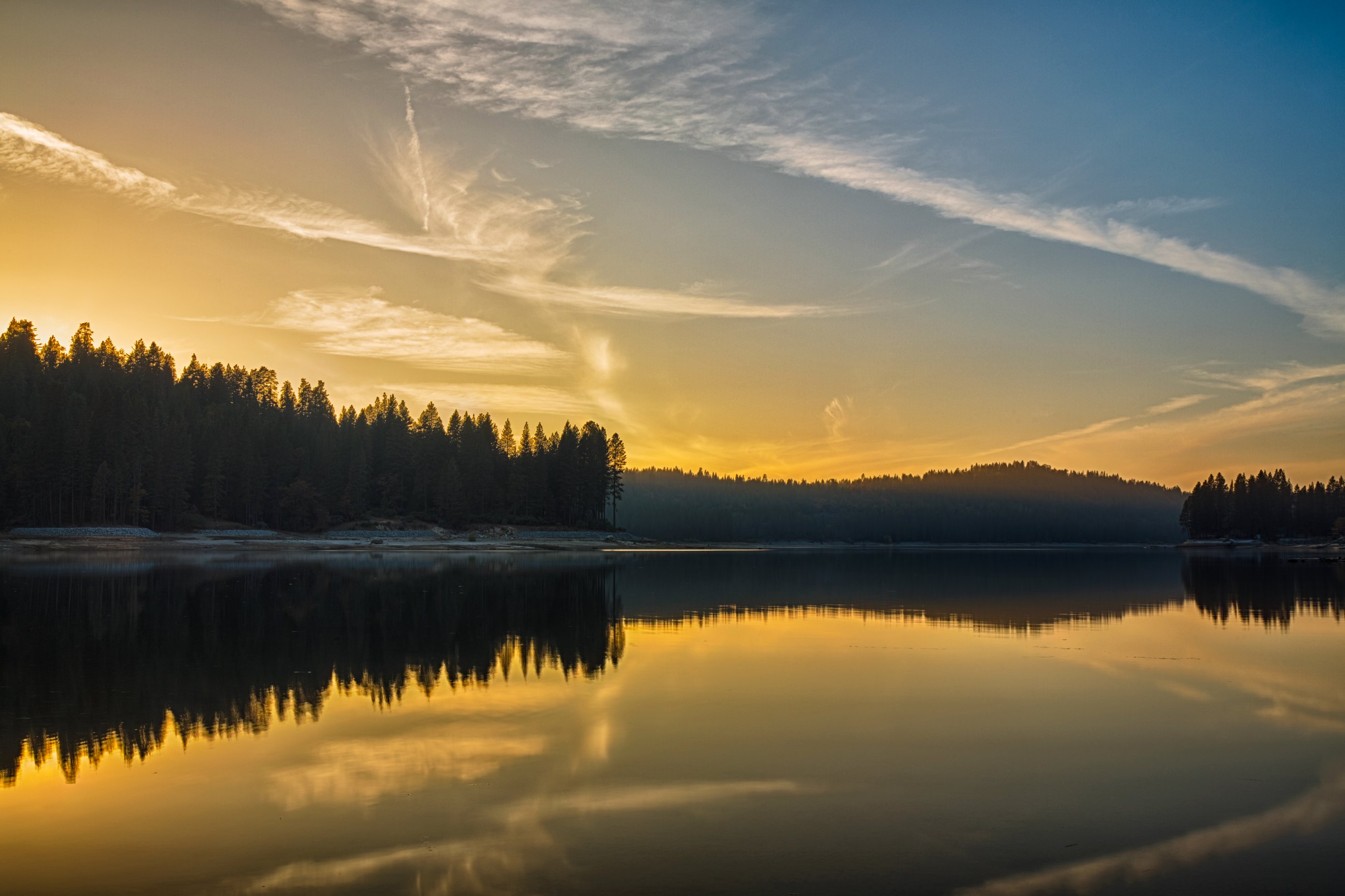 Nature - Collective Perception Photography