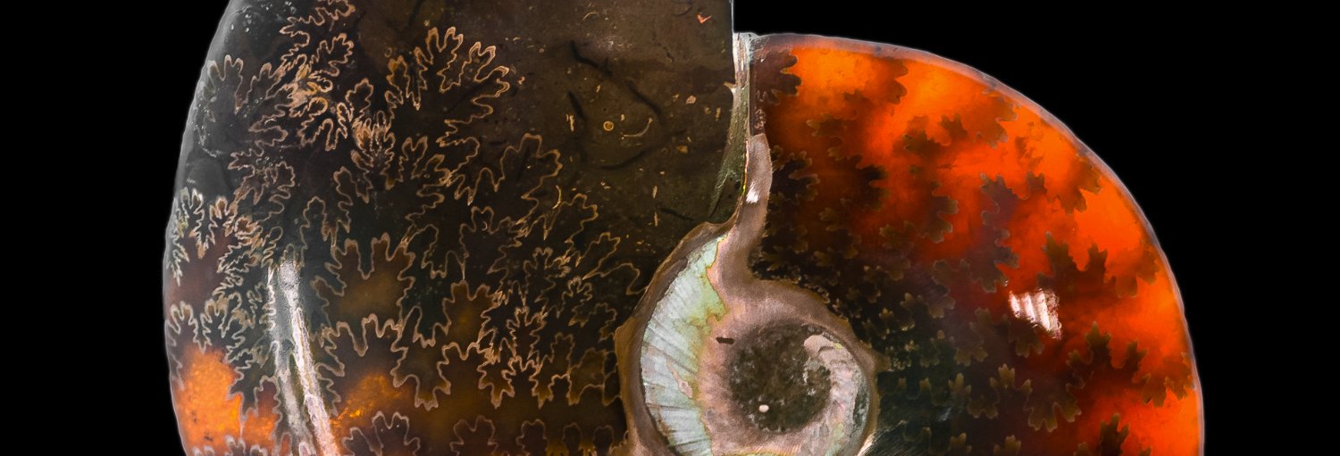 Commercial & Editorial Work - Michael Napier Photography