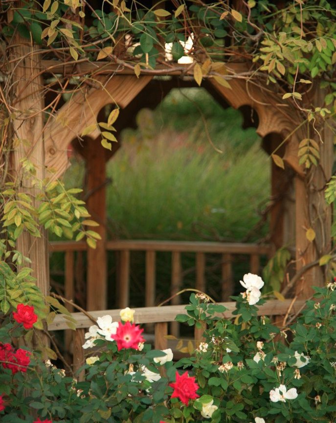 Testimonials - Ed Clark Photography