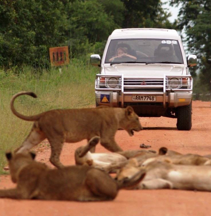 The Unplanned Journey -- Part Two - Change Your Life Travels