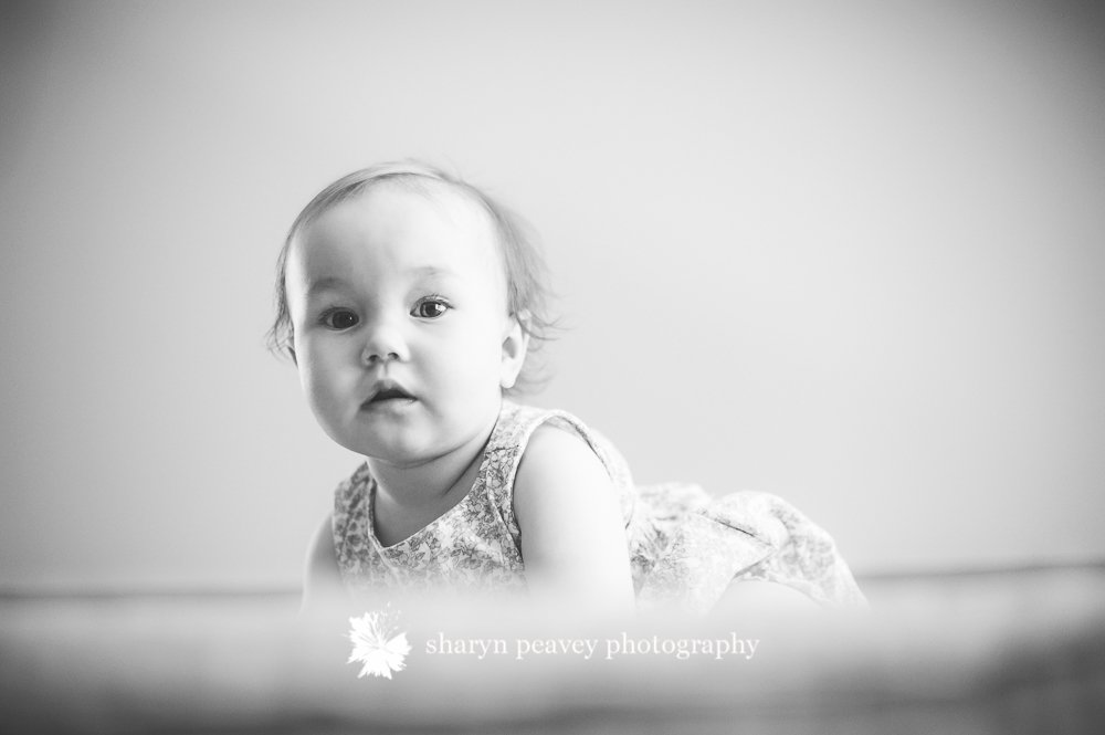 1 Year Debut Baby Session - Sharyn Peavey Photography