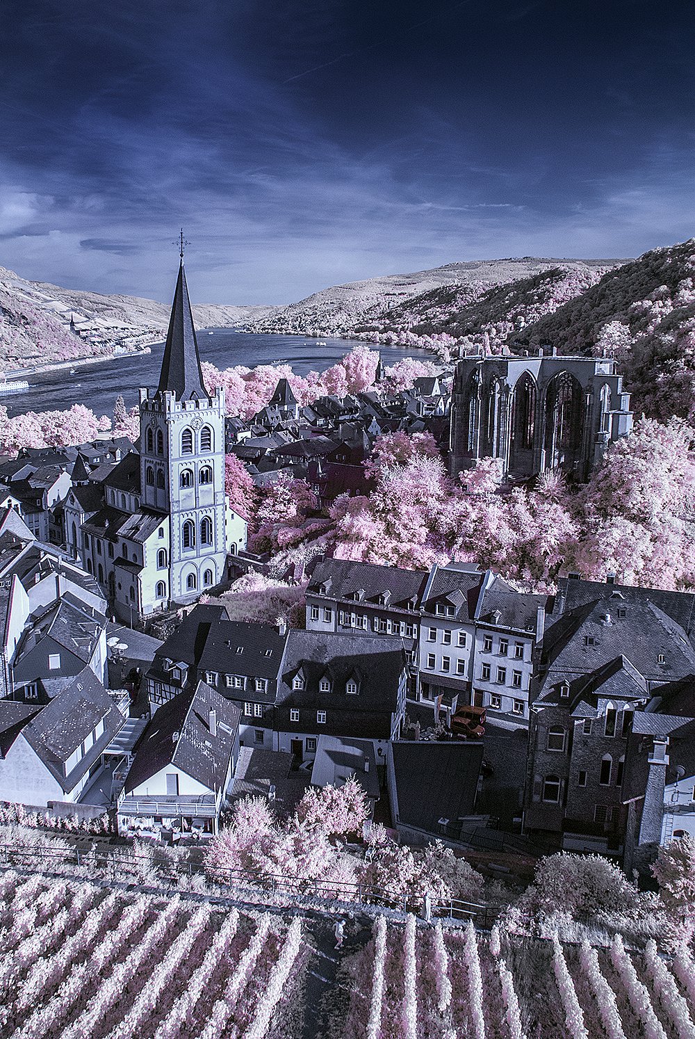 Infrared - Jim Zuckerman photography & photo tours