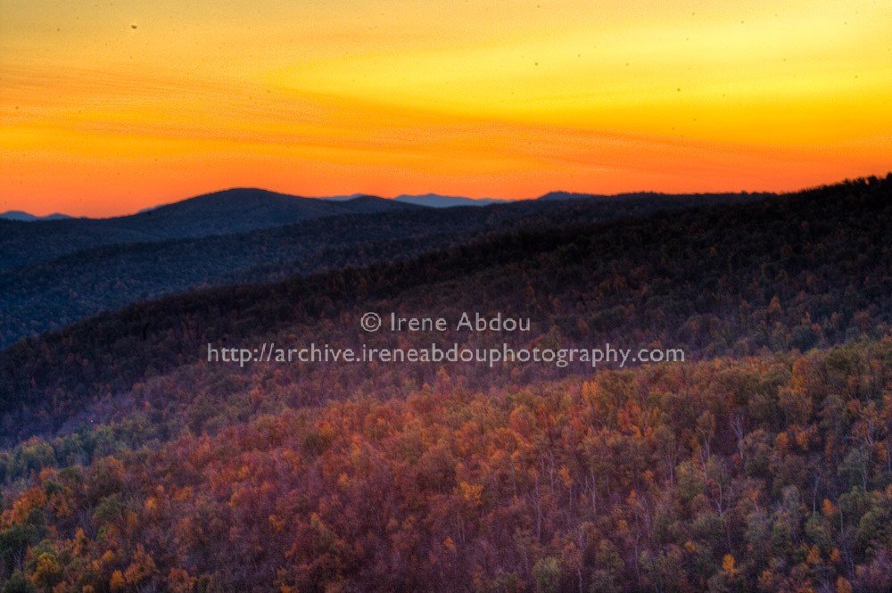 Learn Photography: How to Check Your Camera for Sensor Dust - Irene ...