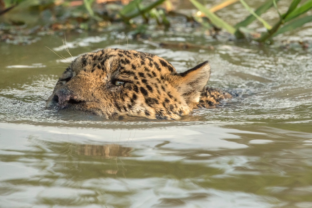 Up close and personal - Jim Zuckerman photography & photo tours