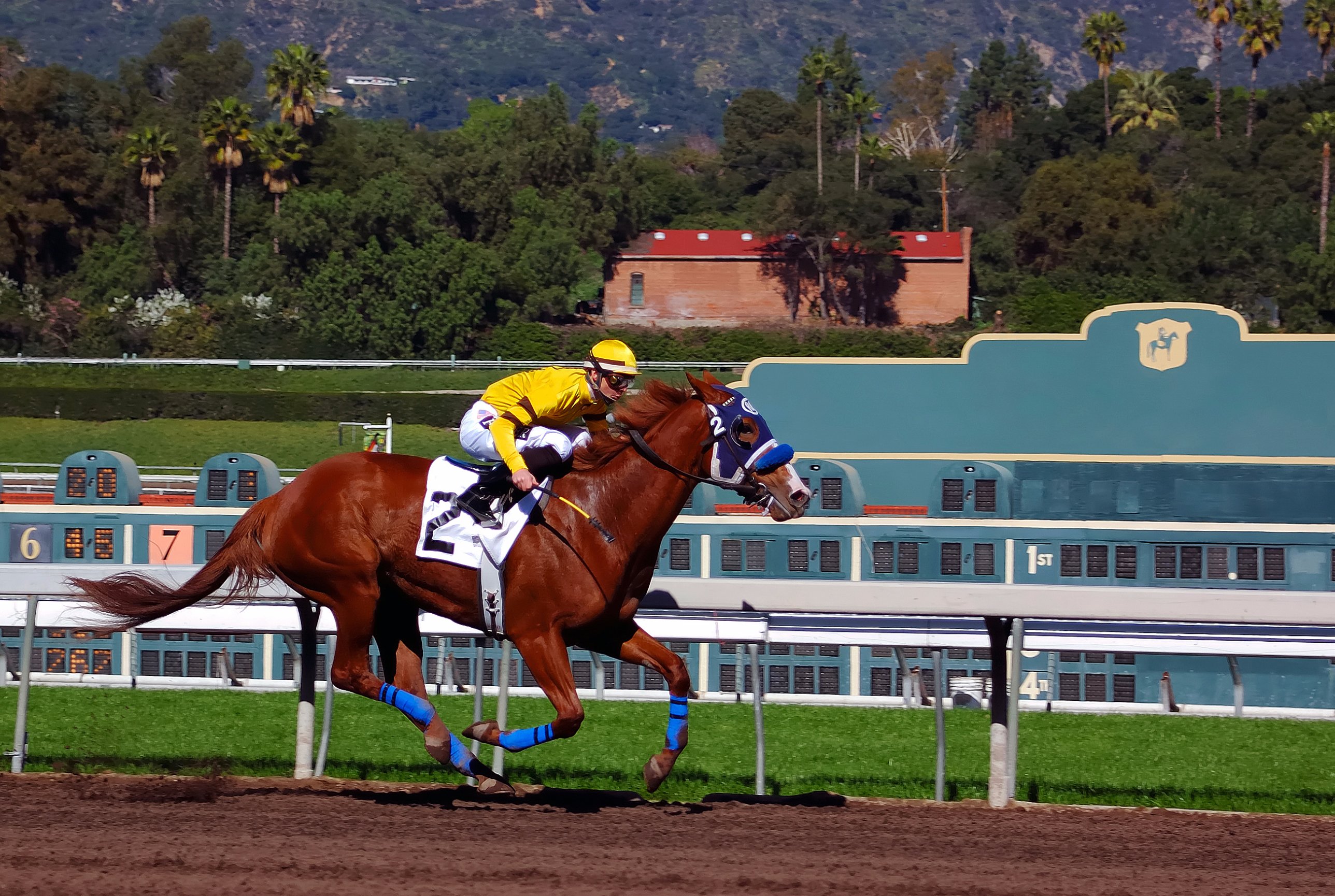 Features - Equine Genie - Horse Business Management Software