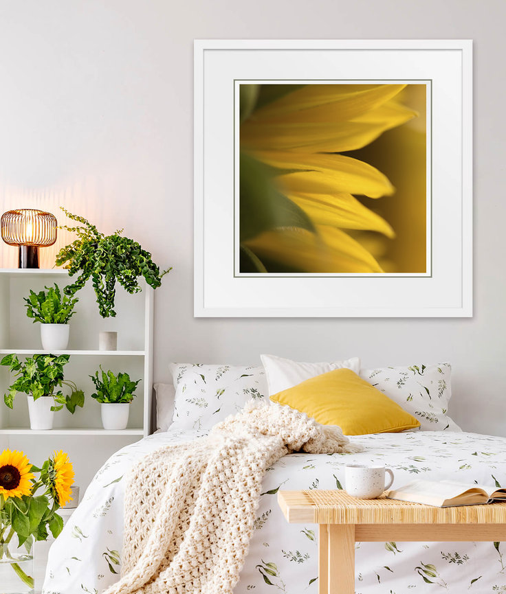 FRAMED PRINTS | Susan Phelps Photography | Wokingham