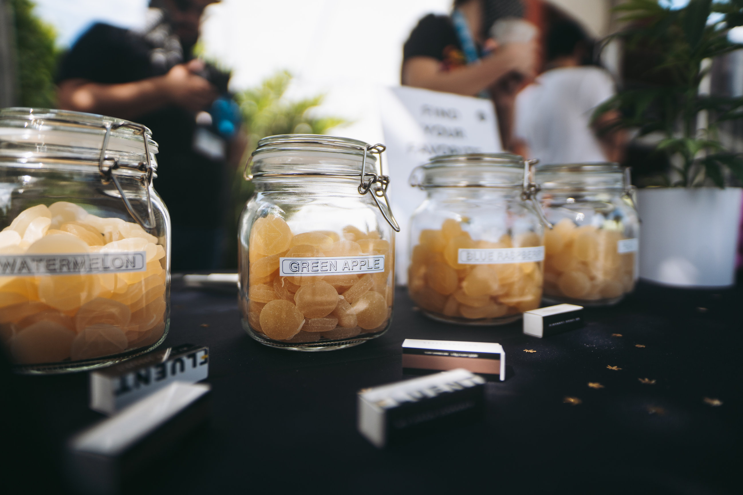 5th Annual Canna Business & Wellness Expo - Nomadik Rebel