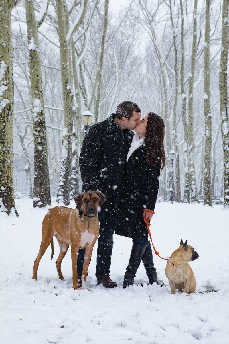 Opening - Steven Rosen Photography