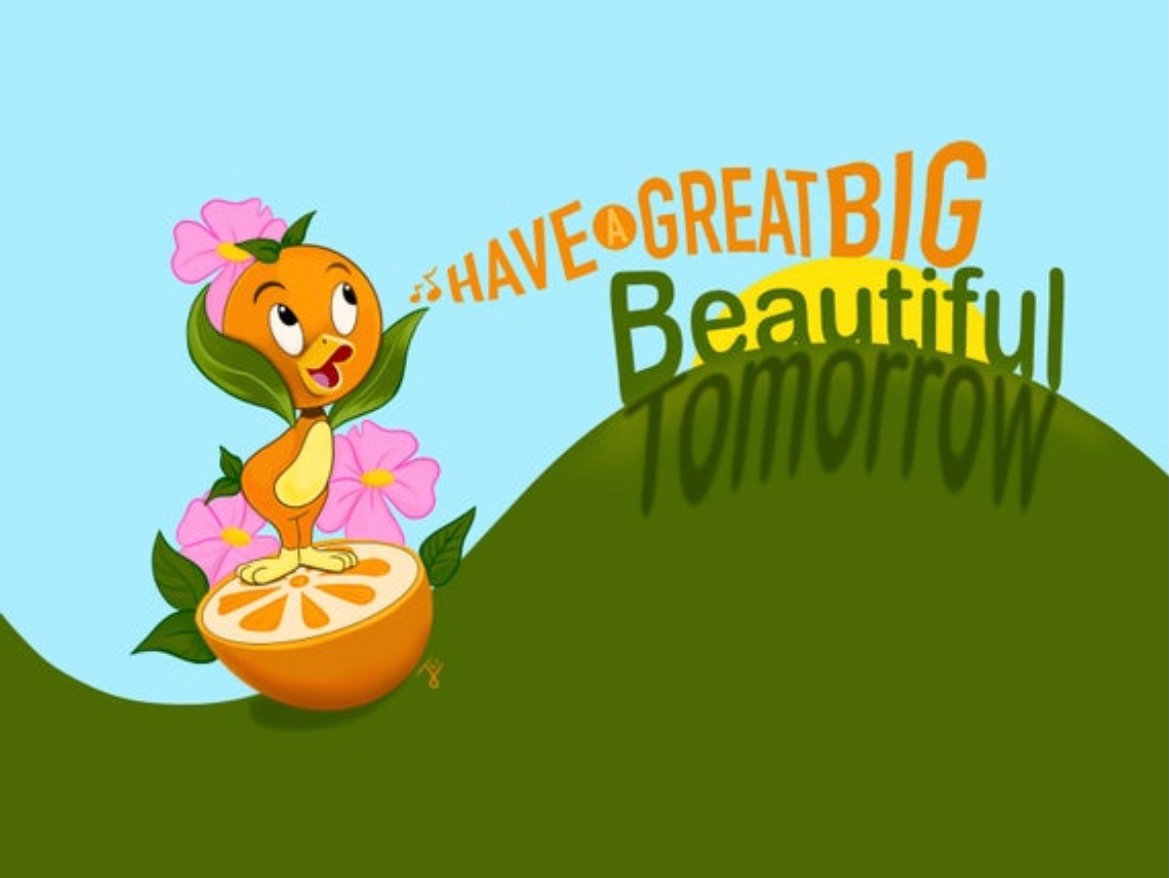 Orange Bird 8x10 Disney Art Print - Jayson's Photography