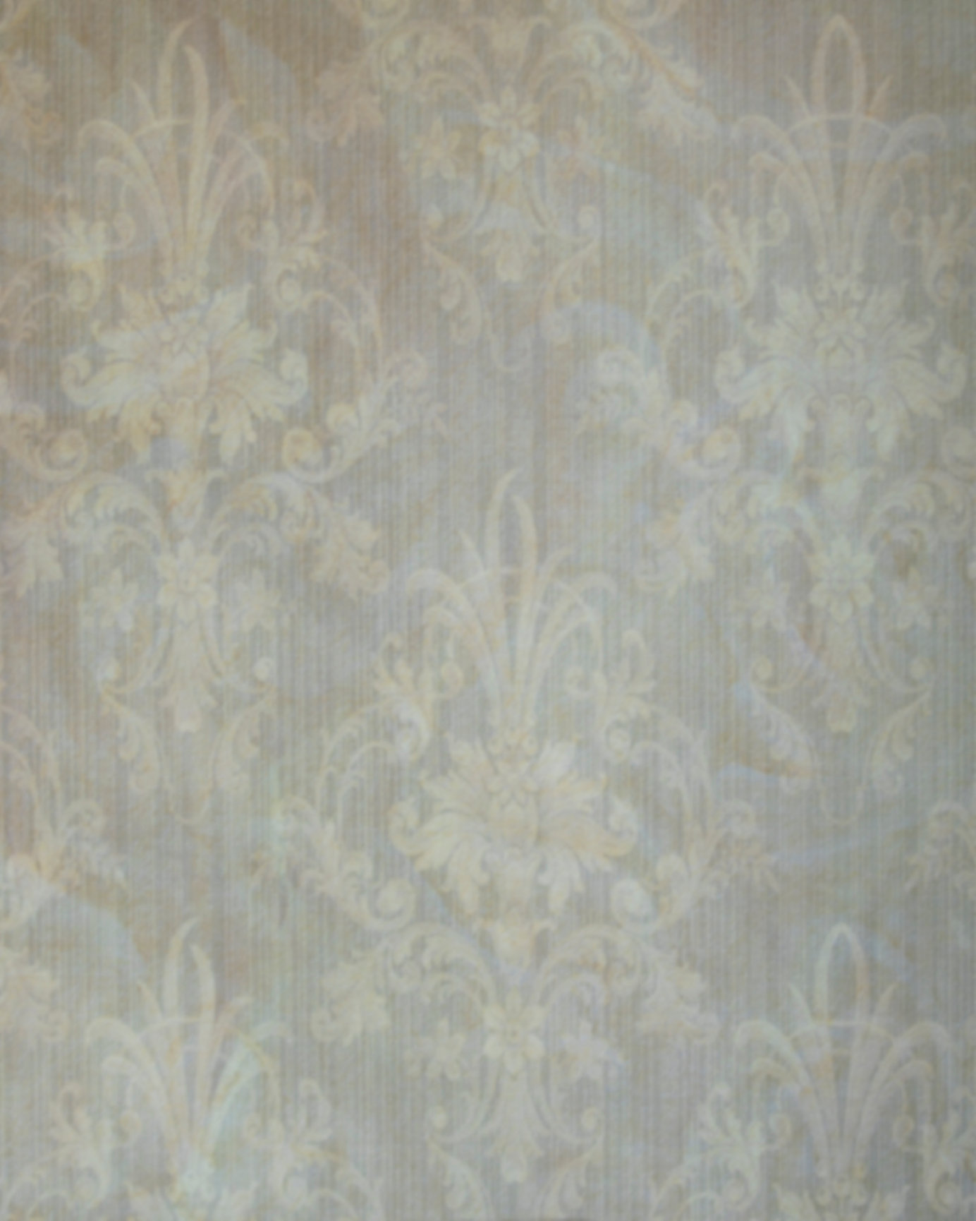 Backgrounds - Impressions Studio