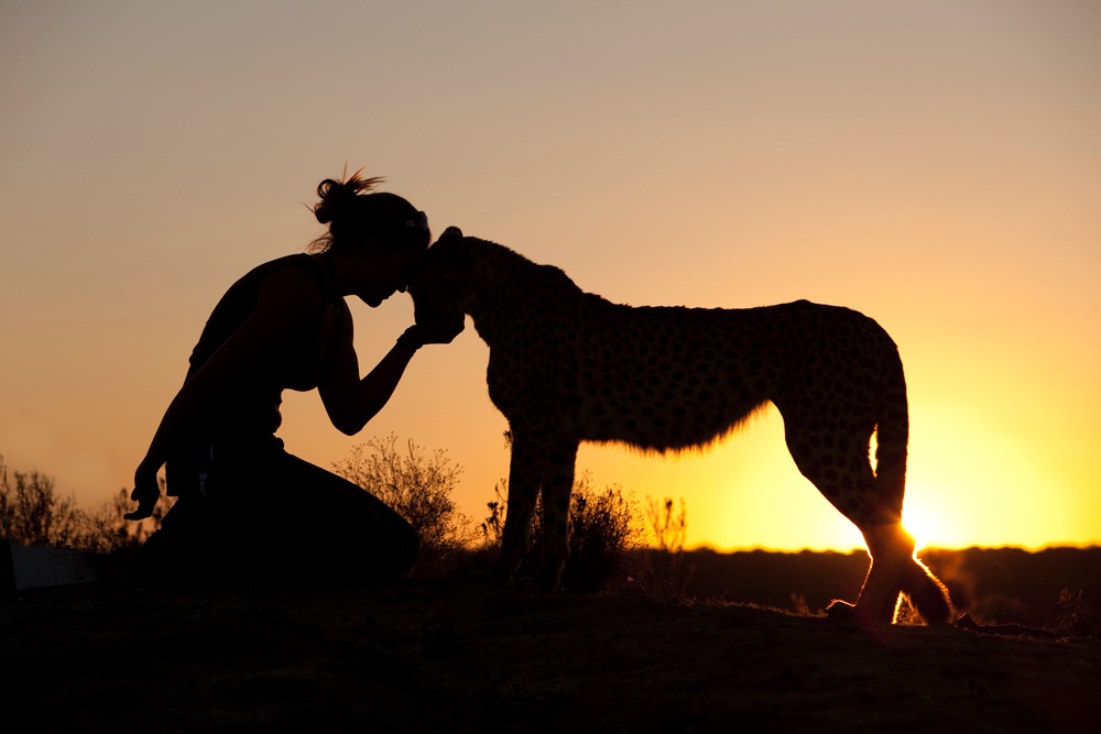 Intimate moment at sunset - Jim Zuckerman photography & photo tours