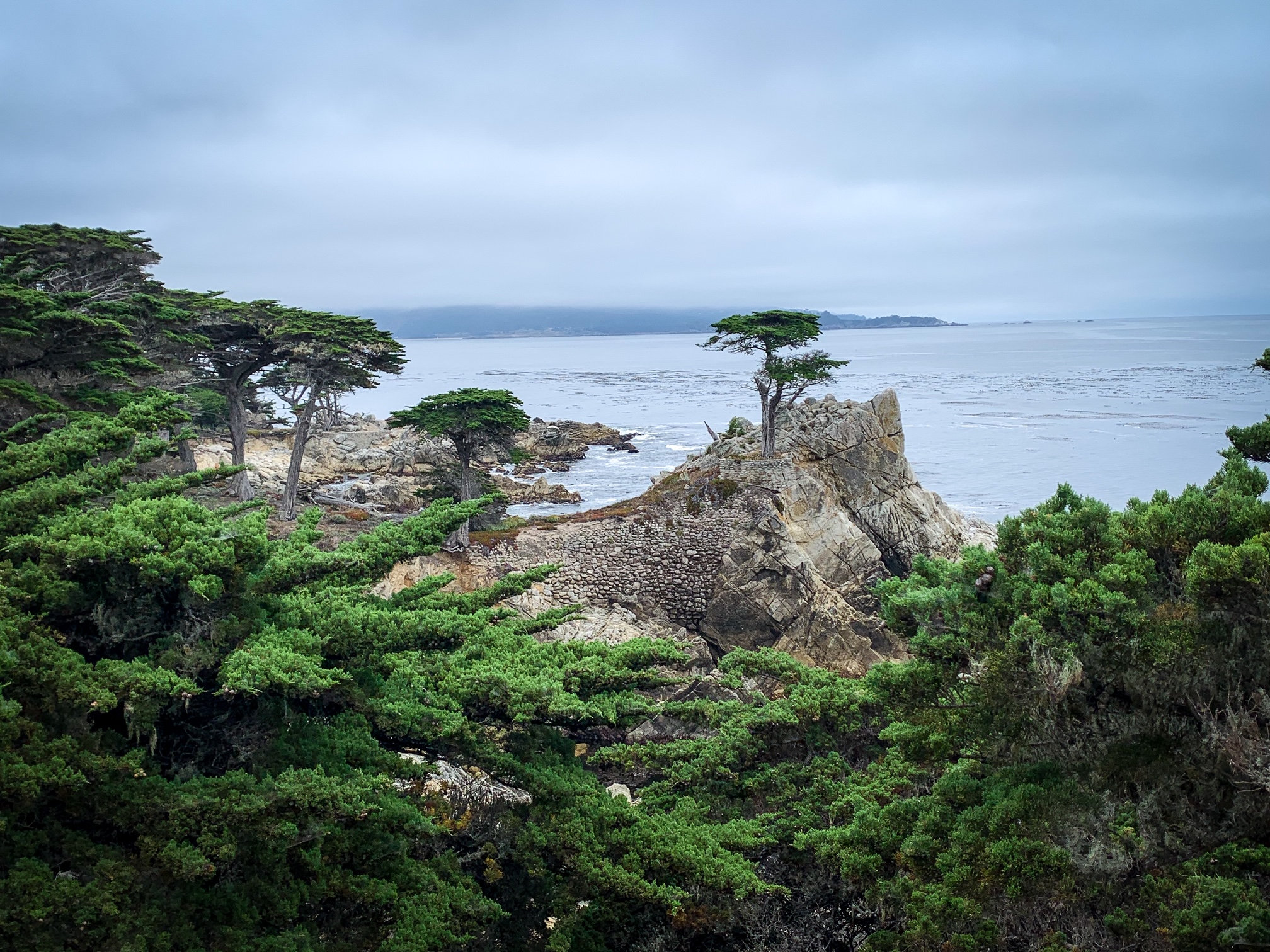 Bucket List Trip to Pebble Beach - Micciche Photography