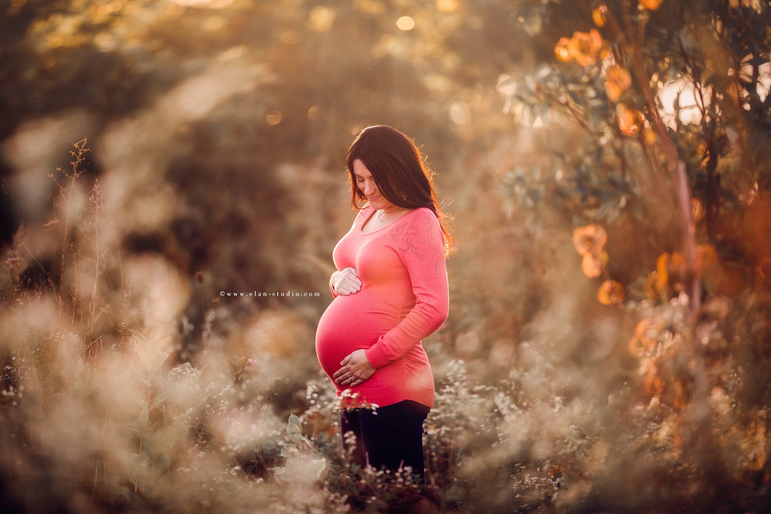 Bristol RI Maternity Photography Gallery | Elan Studio