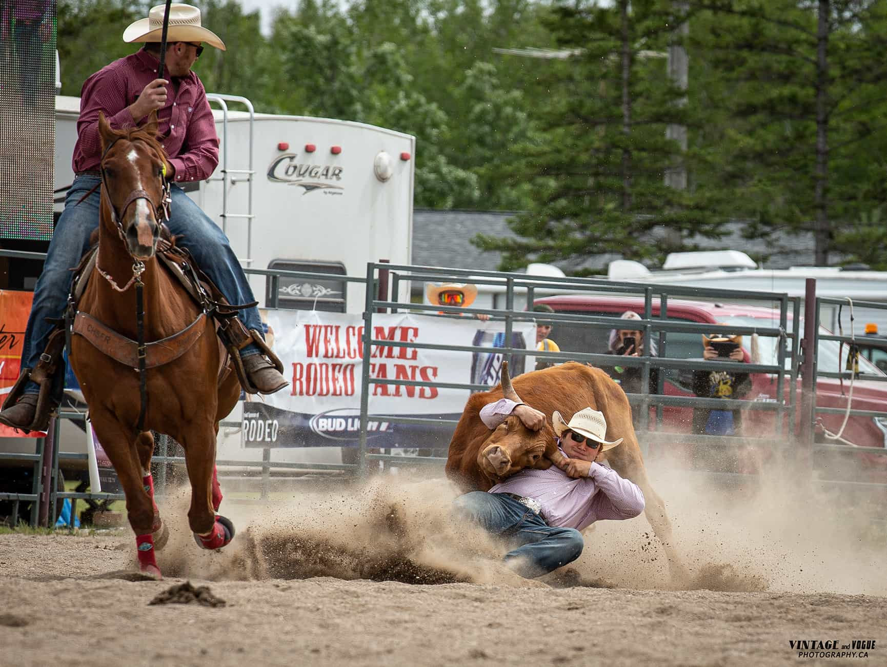 Wild Manitoba Rodeo Event Photography