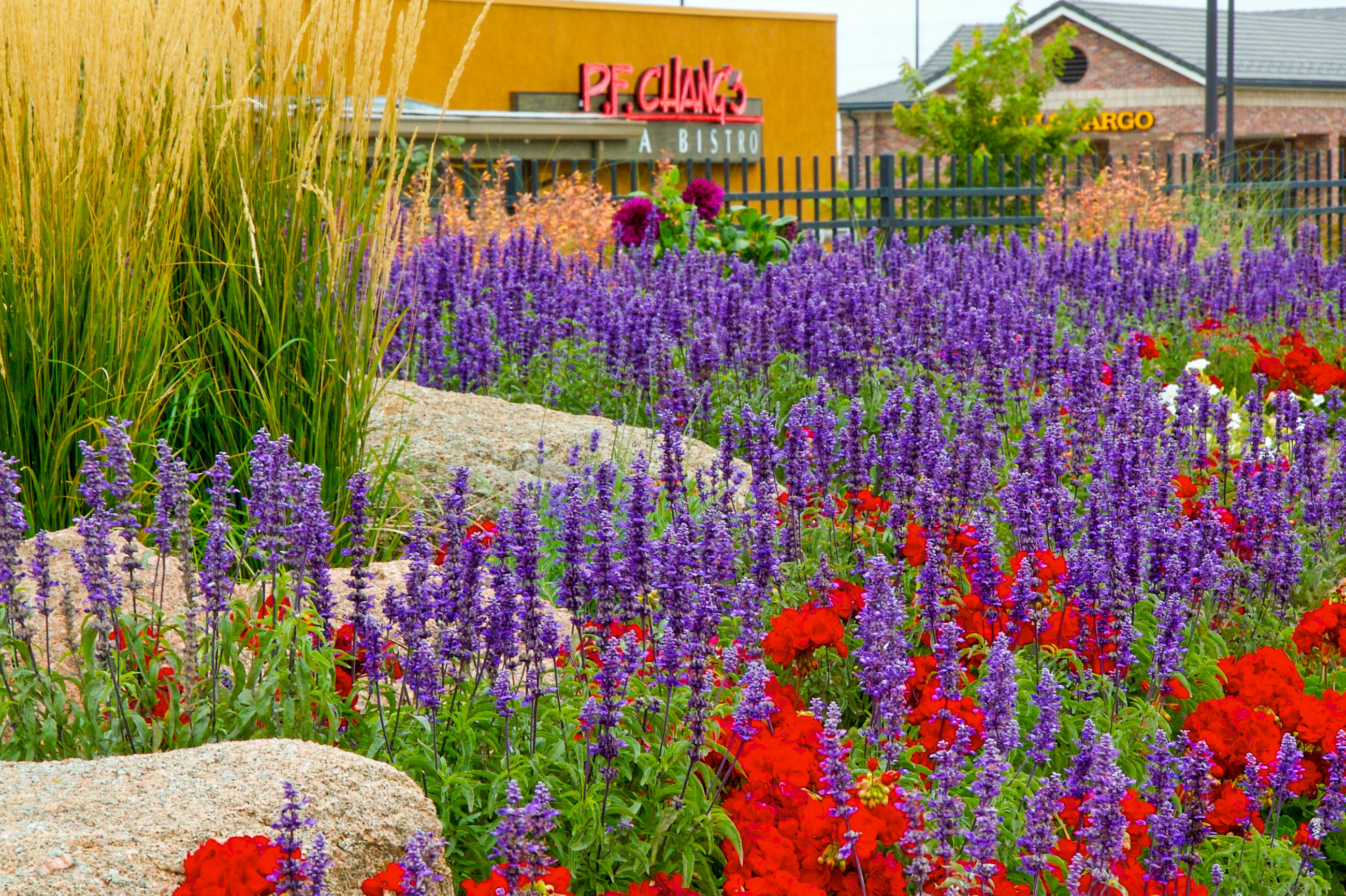 HOME - Sustainable Landscapes Colorado