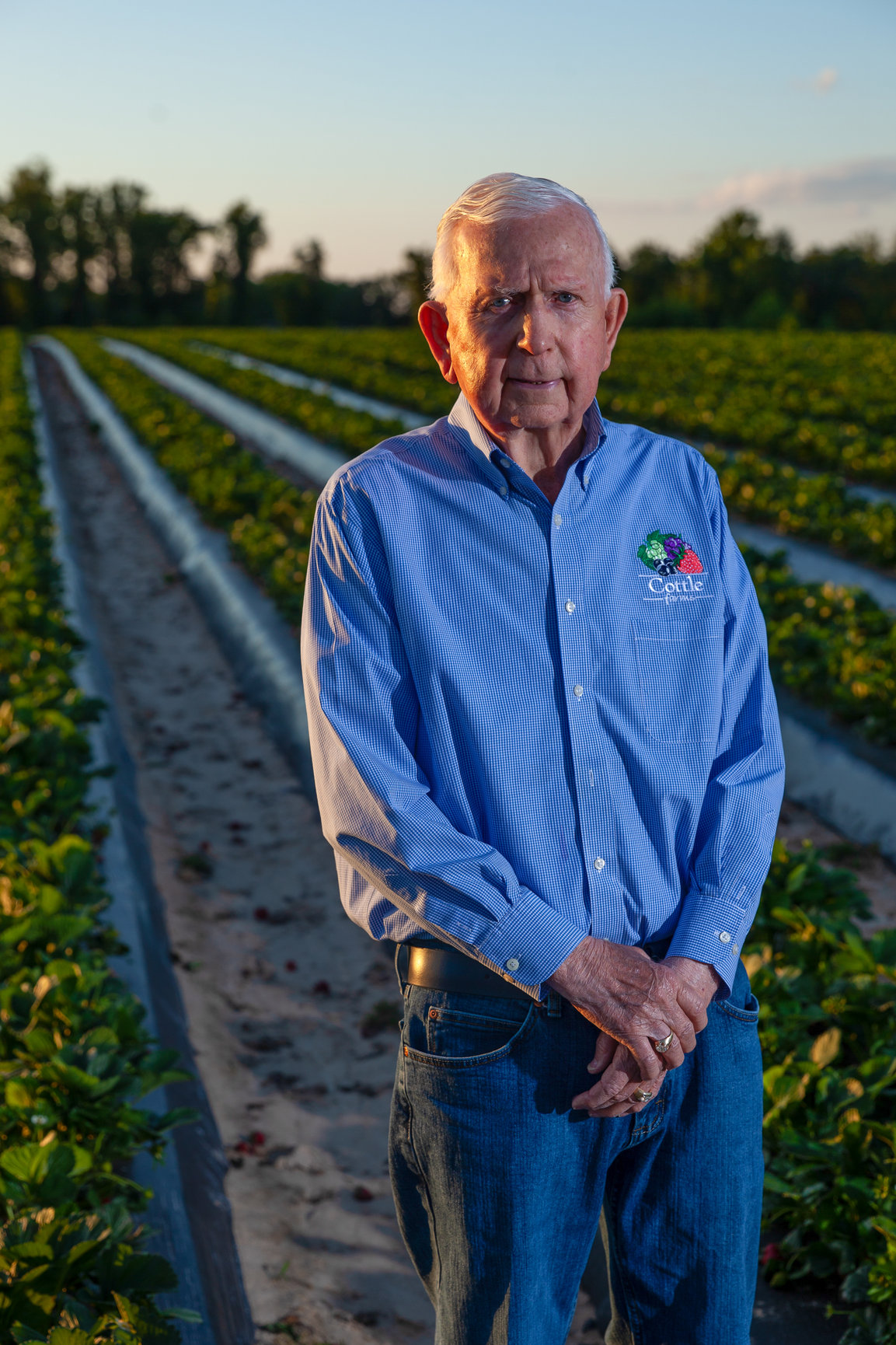 Commercial Branding - The Cain Gallery