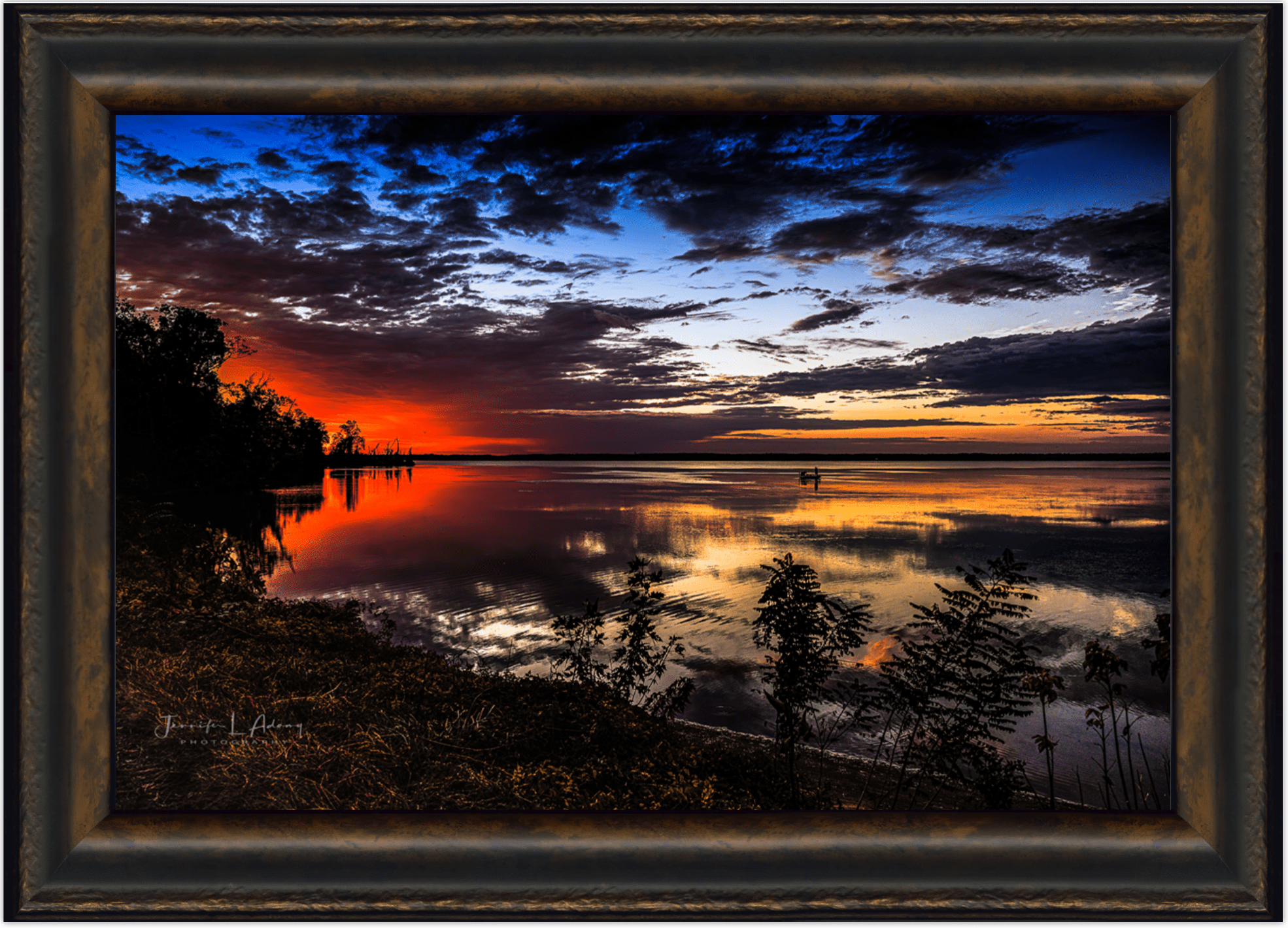 Regions 117 Gallery - Jennifer L Adamy Photography