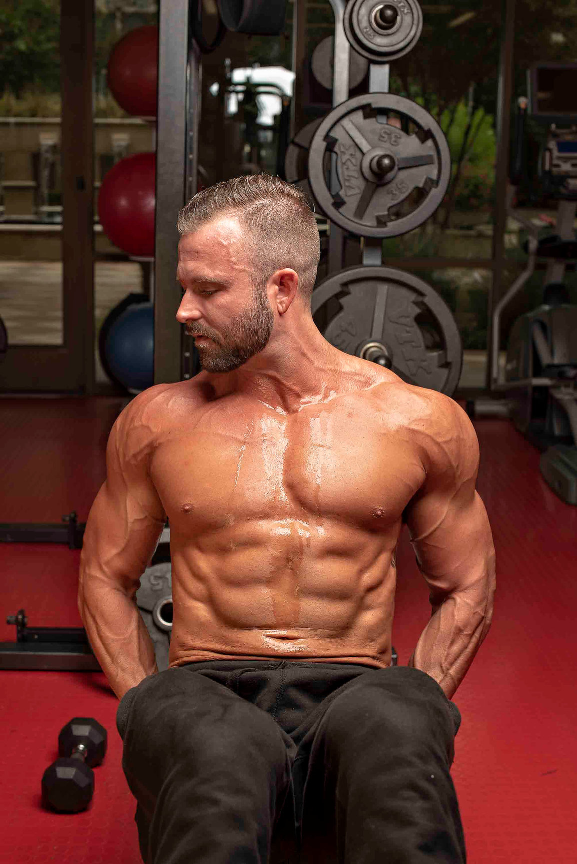 V PHYSIQUE - Daniel Roberts