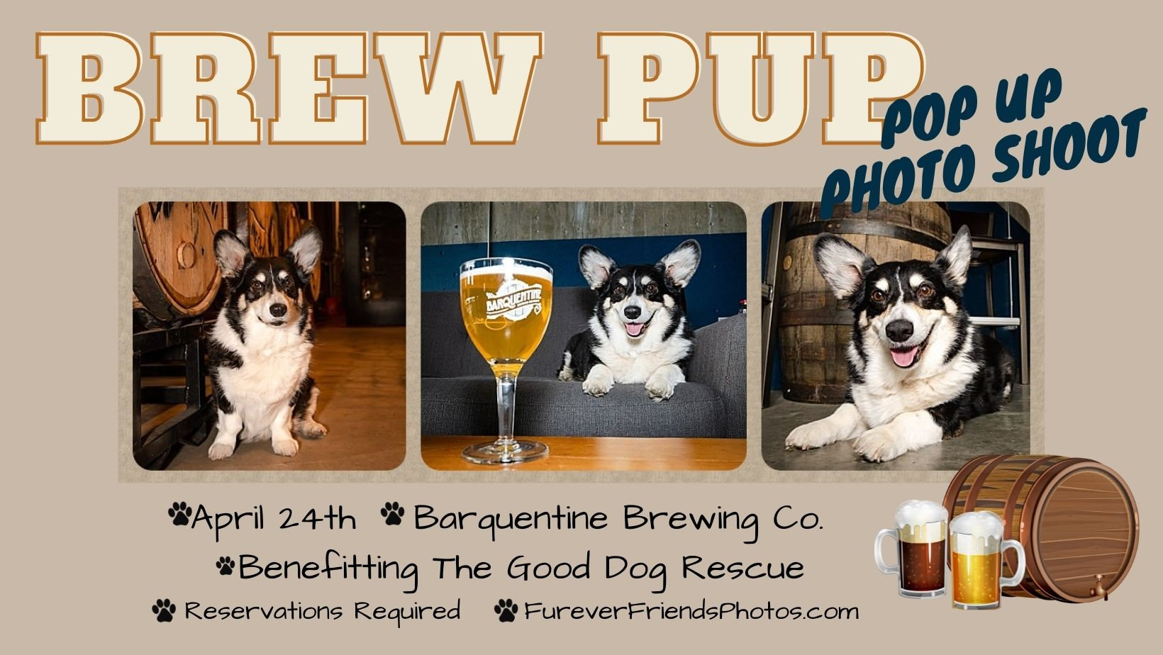 Brew Pup Pop Up! - Furever Photography