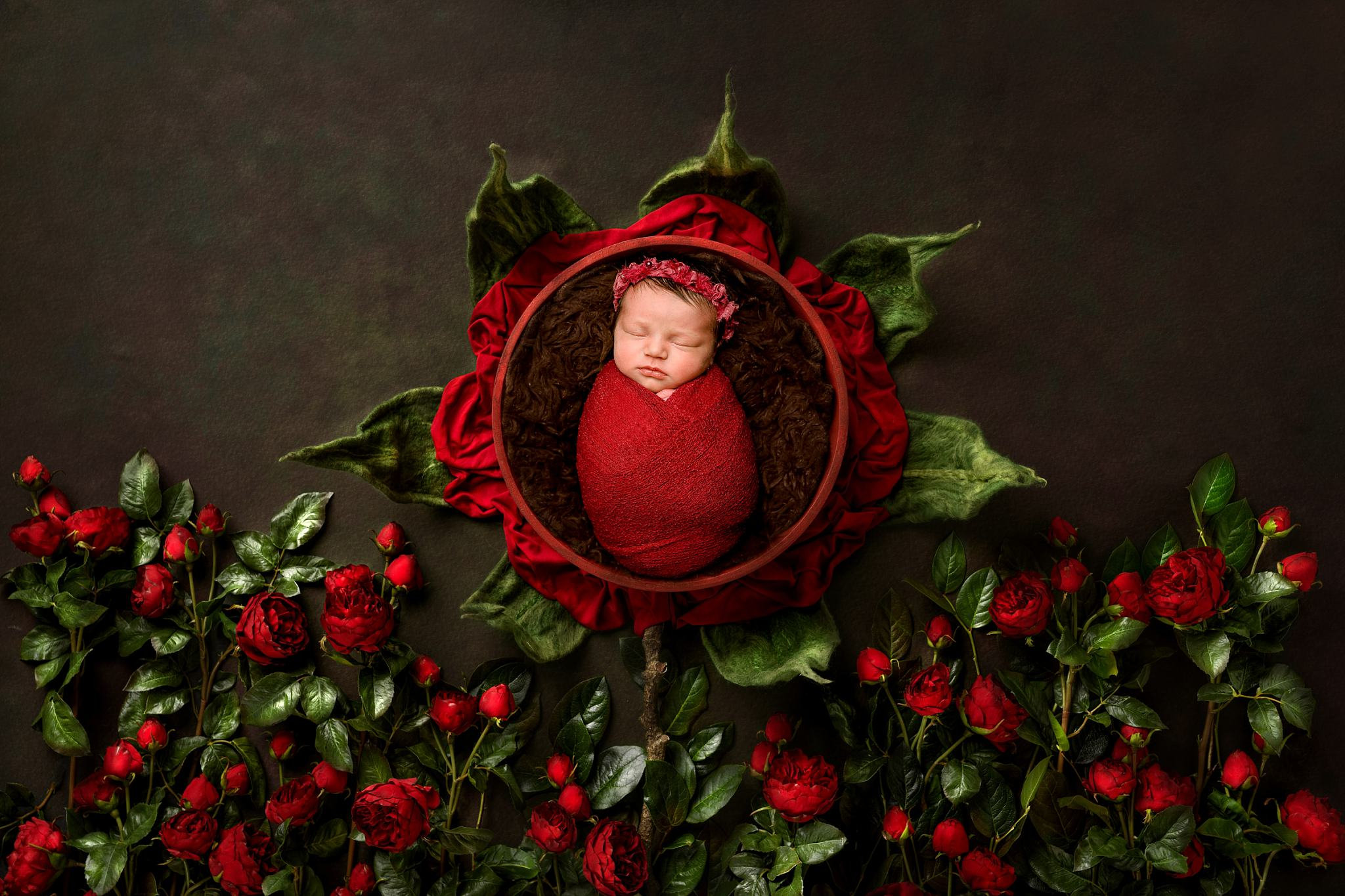 BABY SCARLET | NEWBORN PHOTO SESSION - Heather Cassidy