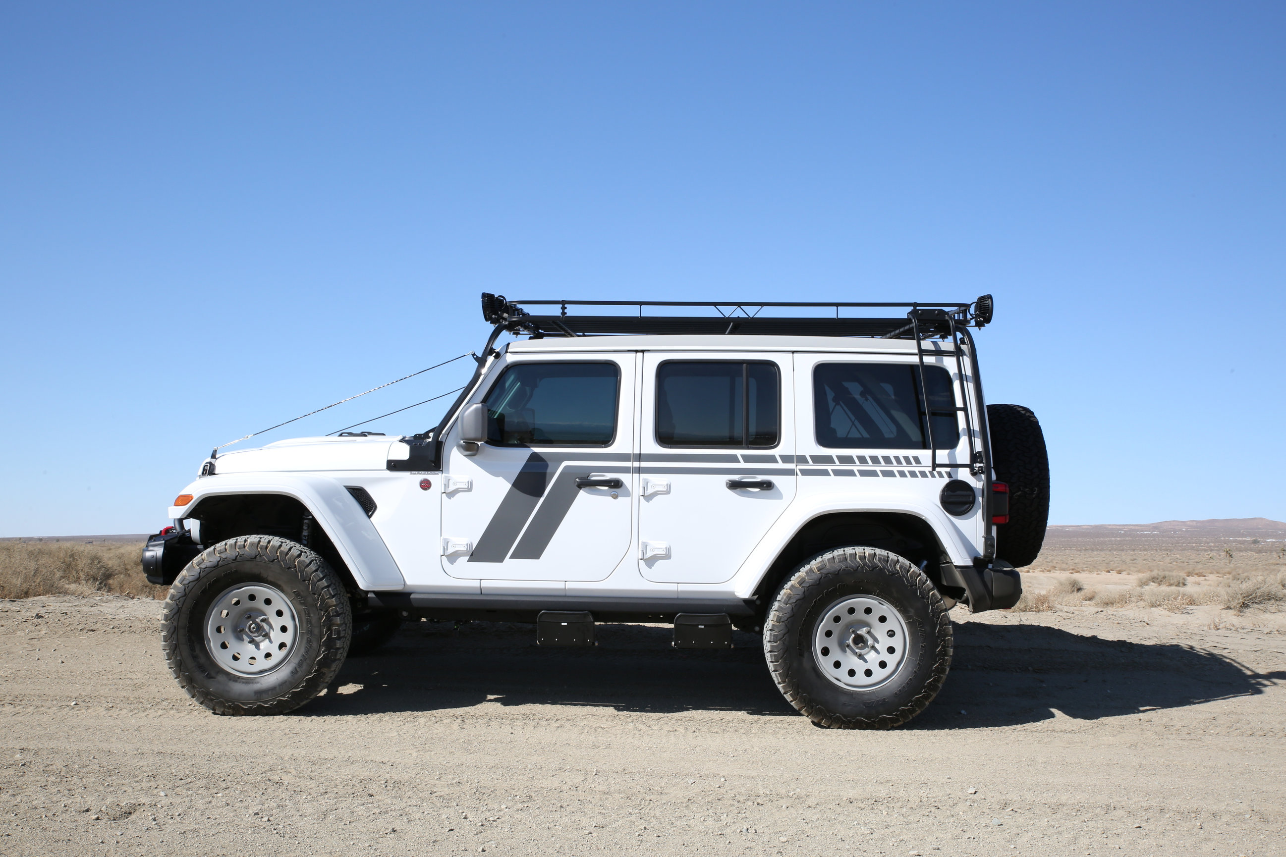 TRUE NORTH COLLECTIONS