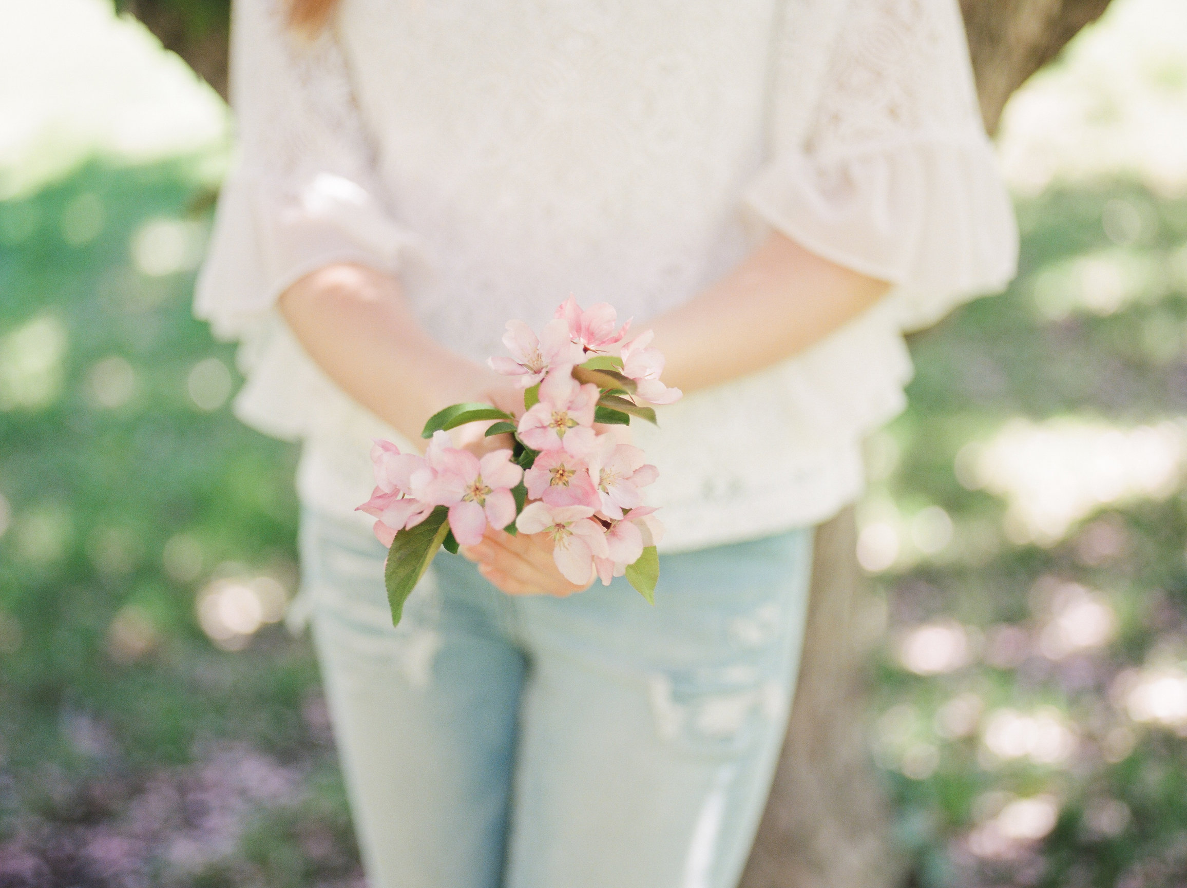 Spring Photo Sessions in Minnesota . Minneapolis Photographer