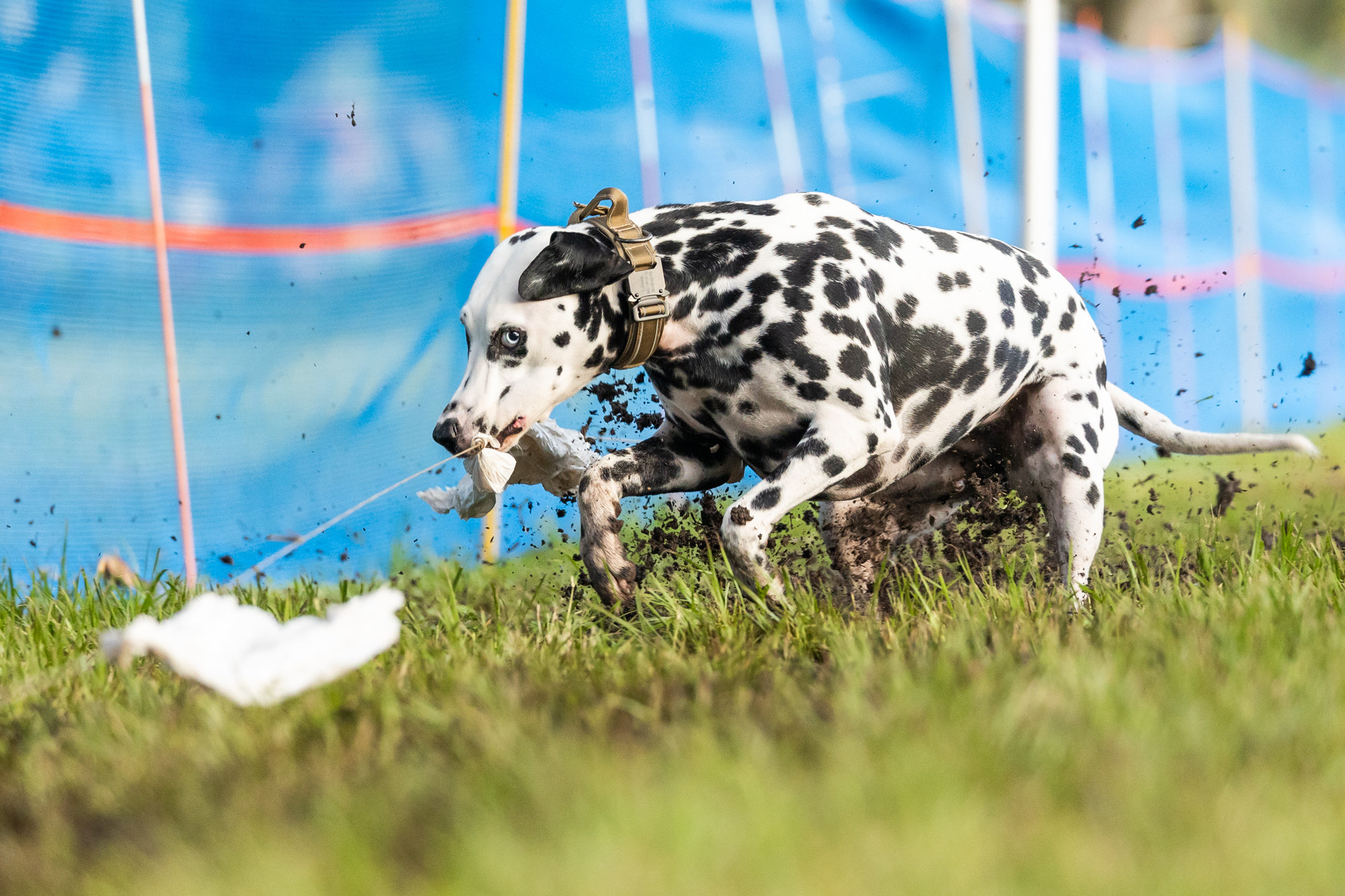 HOME - Brian Batista Photography