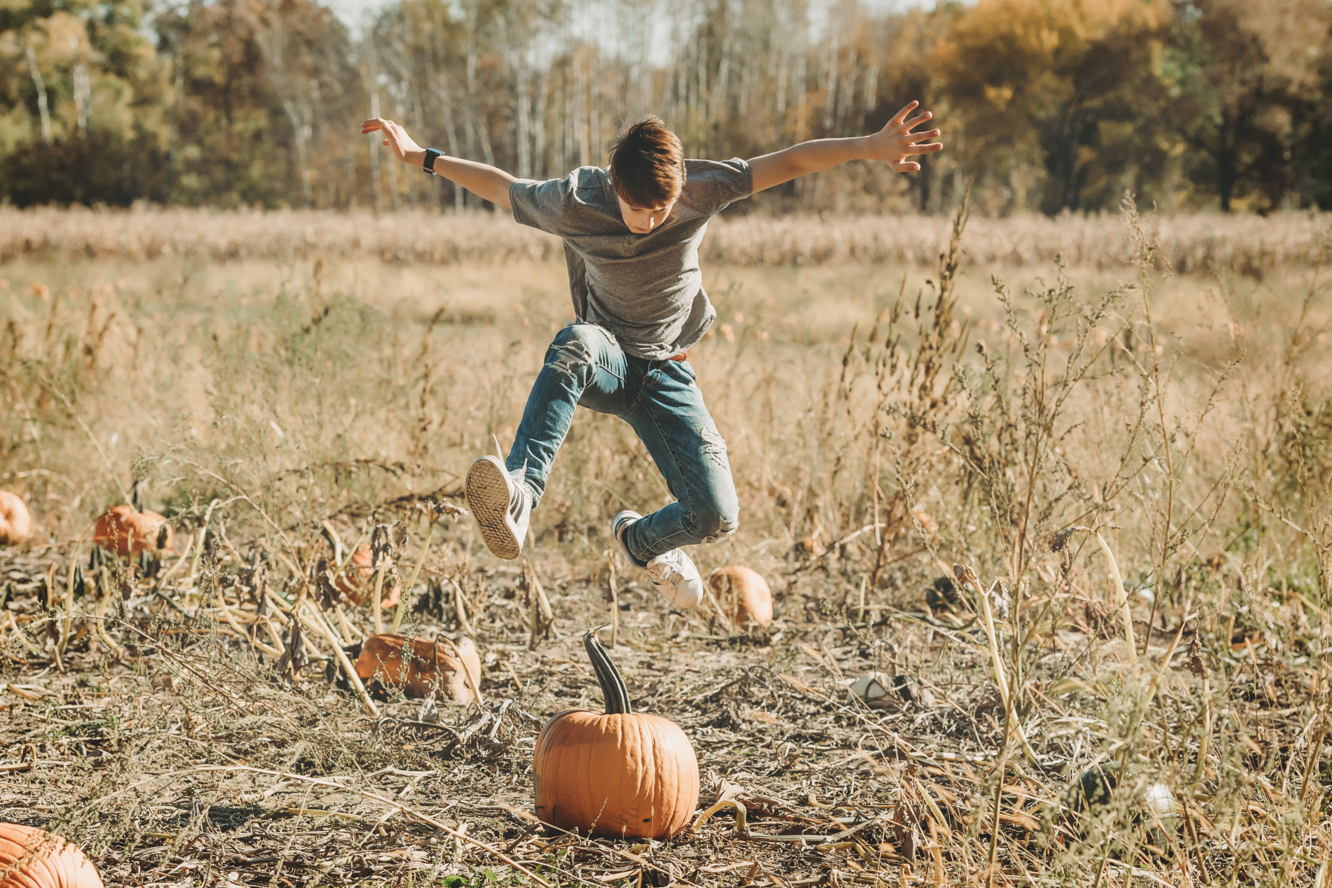6 Best Pumpkin Patches in Minnesota