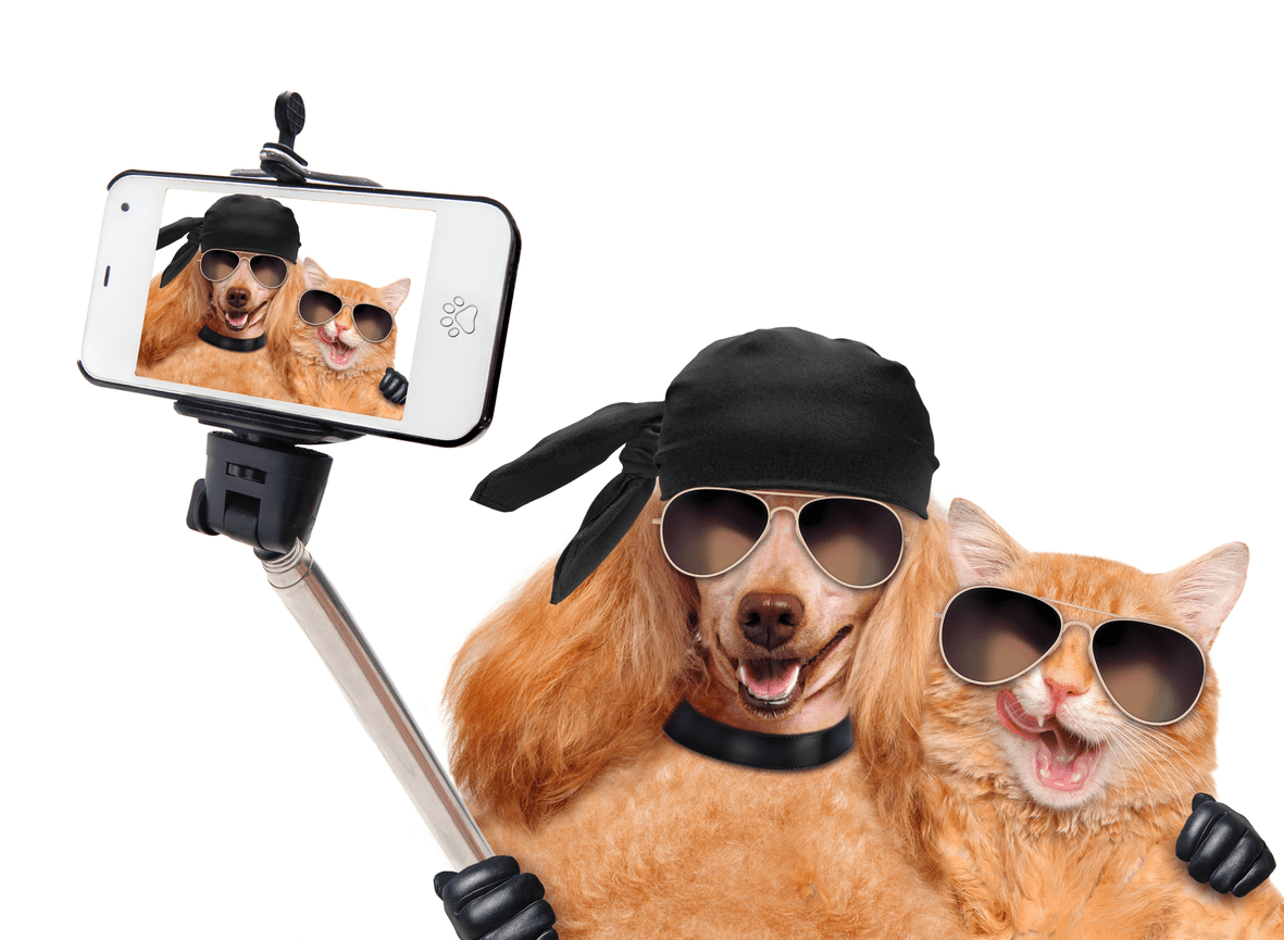 The Mirror vs. Camera Debate: Why We Look Attractive in the Mirror ...