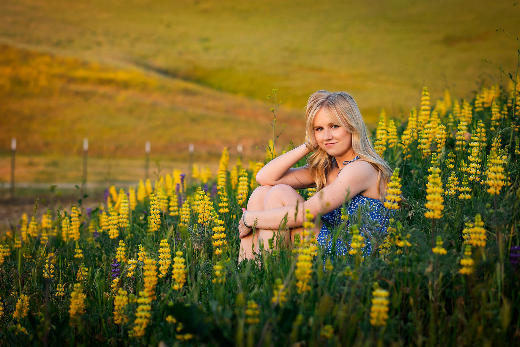 Senior Portrait Session Contra Costa County CA, Wildflower Photo ...