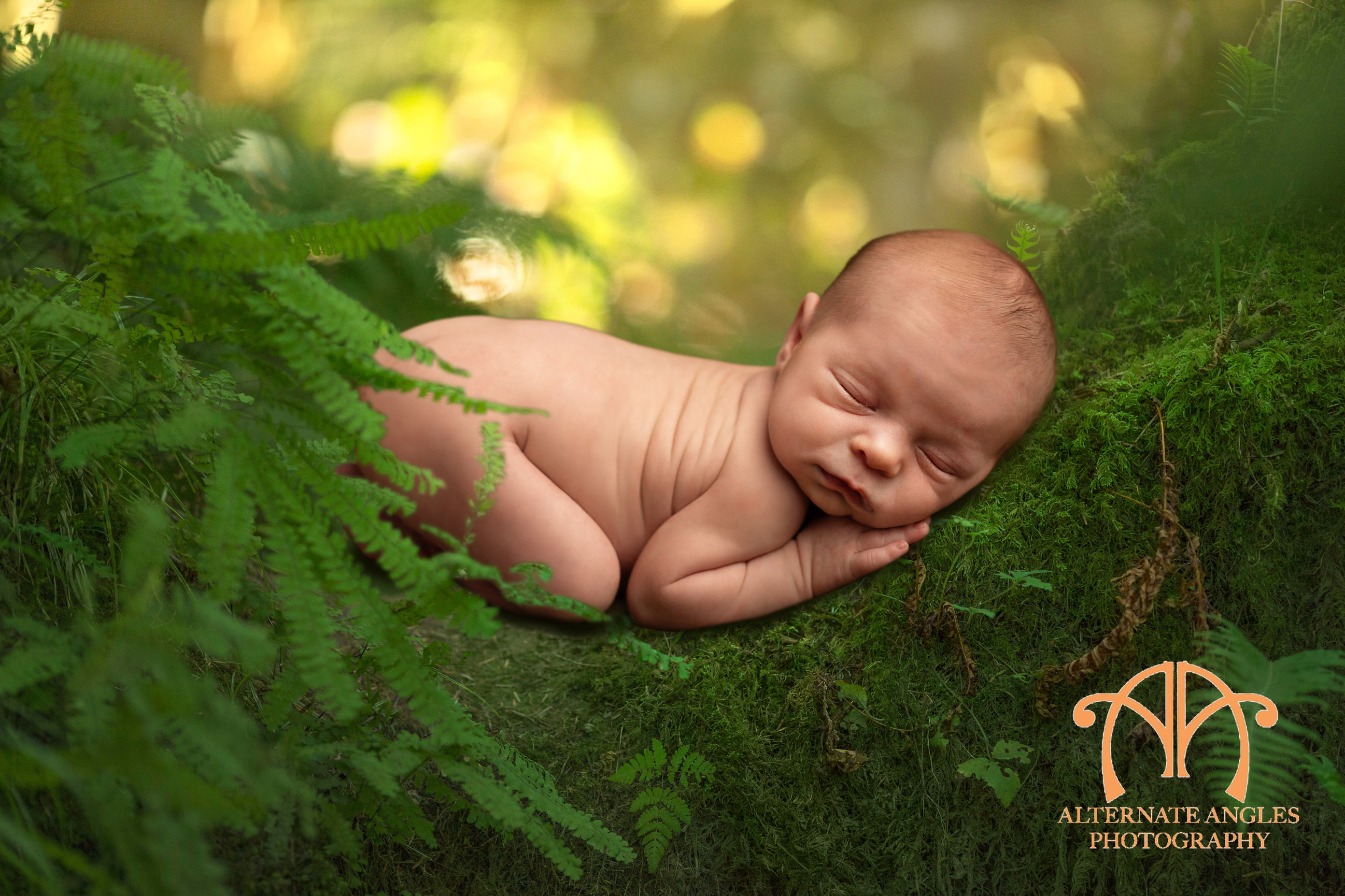 Bringing the Outdoors In: A Nature-Inspired Newborn Session at Boston ...