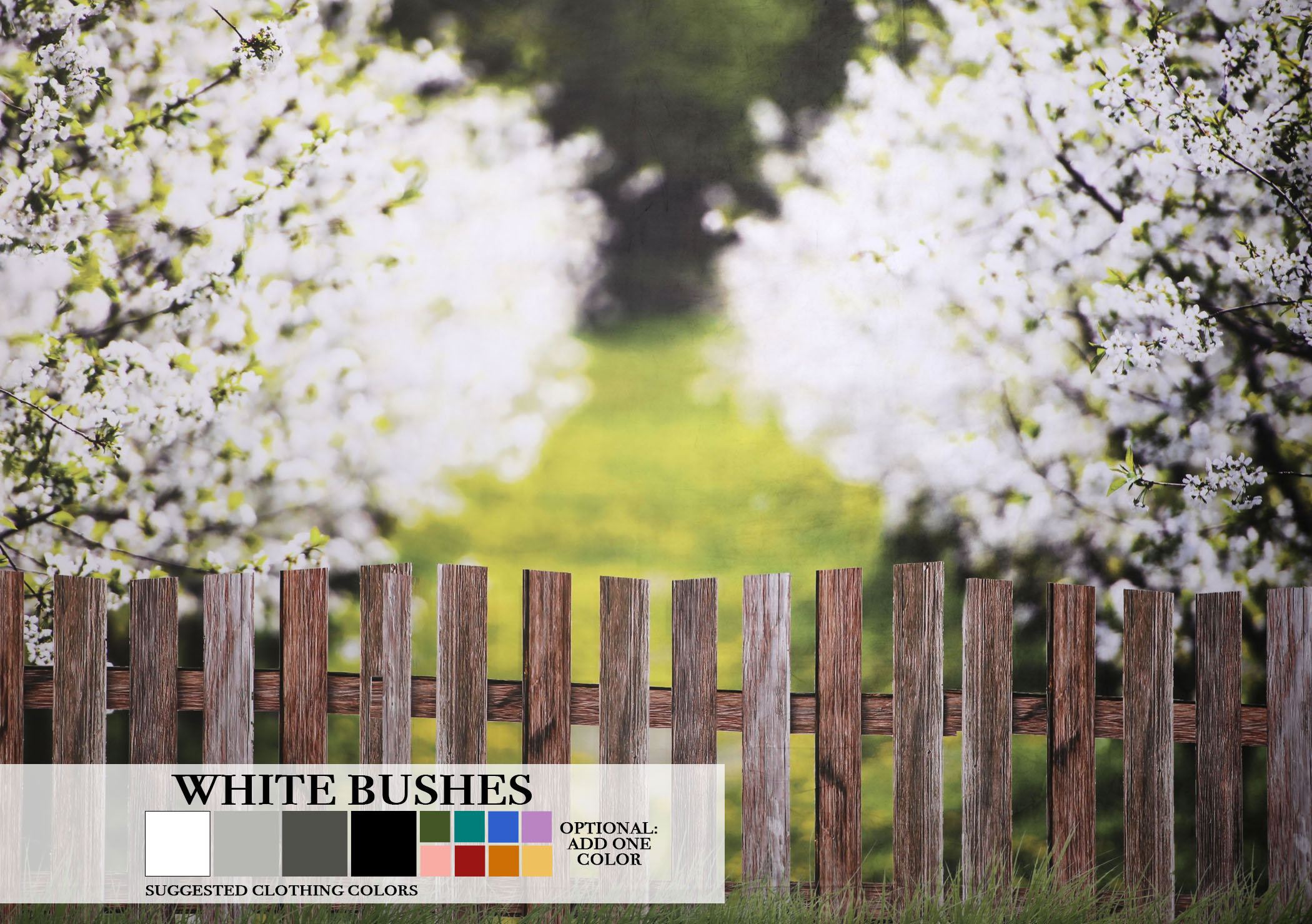 White Bushes - Daydream Photography - Brush Colorado Photographer